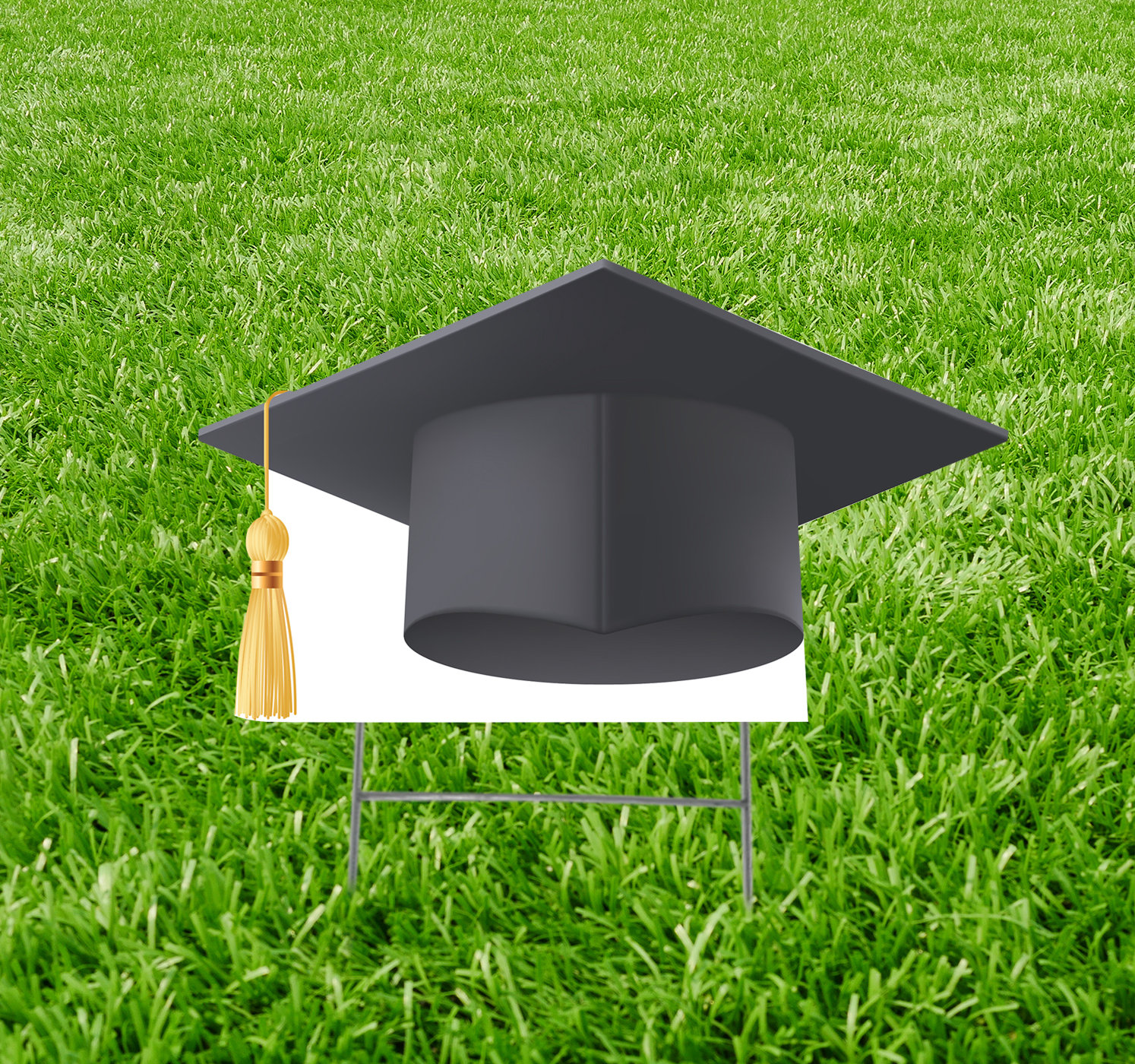 Trinx Grad Cap Yard Garden Stake - Wayfair Canada