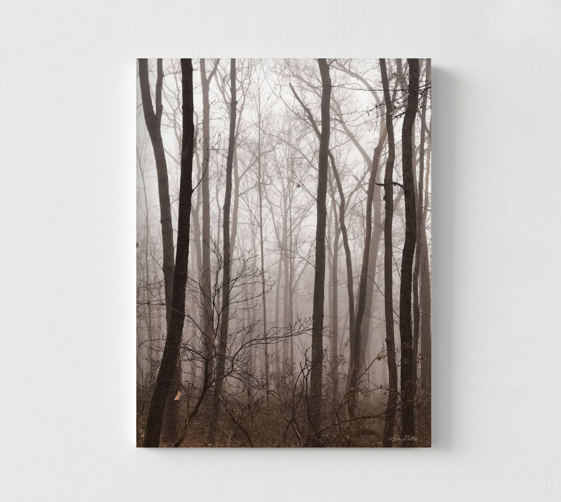 WeFrameArt Red Oak Forest Photo Lake Airbnb Wall Art, Dark Misty Forest ...
