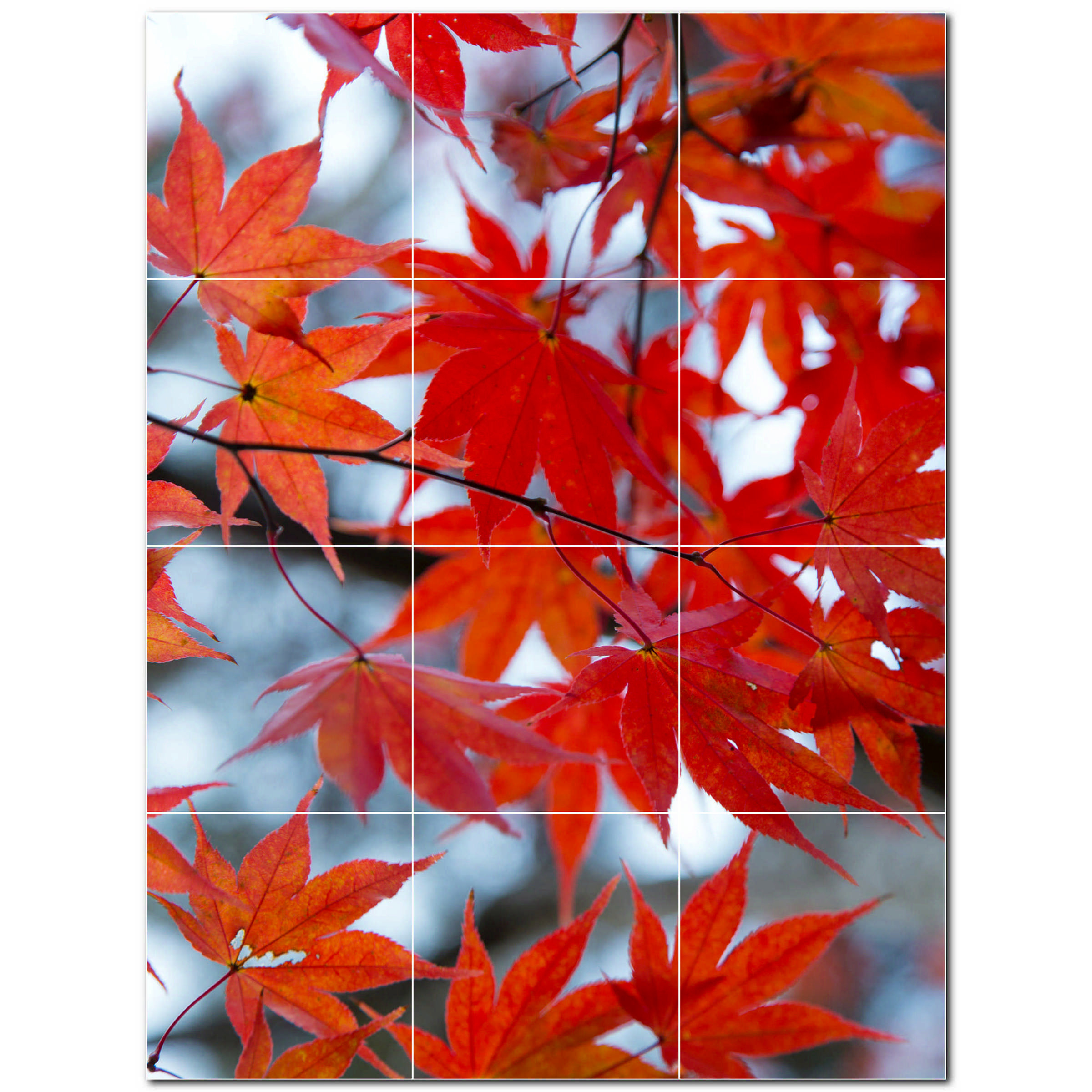 Picture-Tiles.com 12.75" x 17" Ceramic Autumn Photo Decorative Mural ...