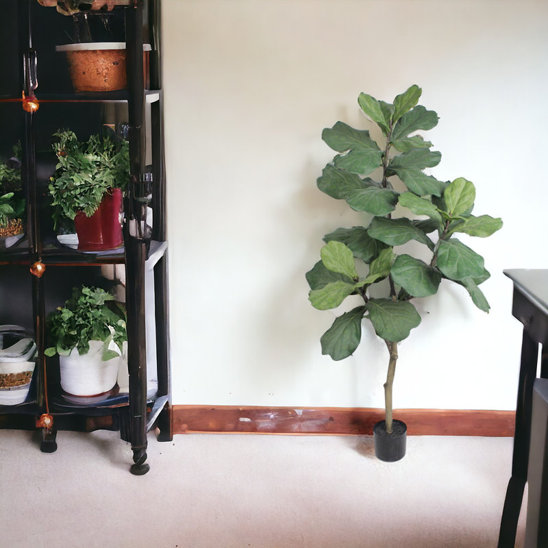 Primrue 5 Feet Tall Artificial Fiddle Leaf Fig Tree | Wayfair