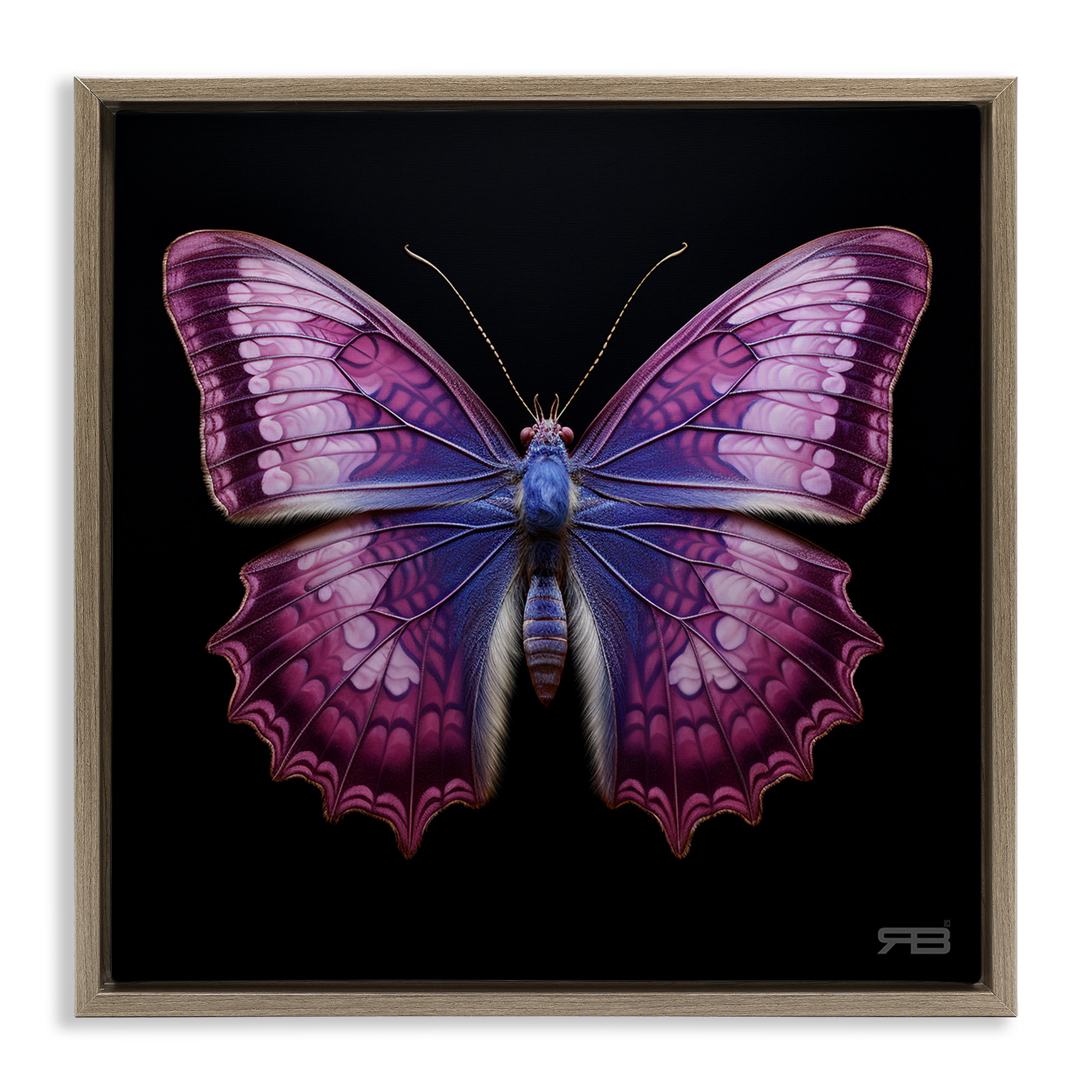 Ebern Designs Vivid Purple Butterfly Gold Framed Floater Canvas Wall ...