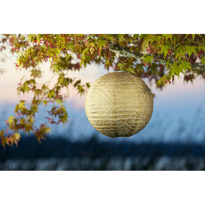 Bungalow Rose Stotler 12'' Outdoor Lantern & Reviews | Wayfair