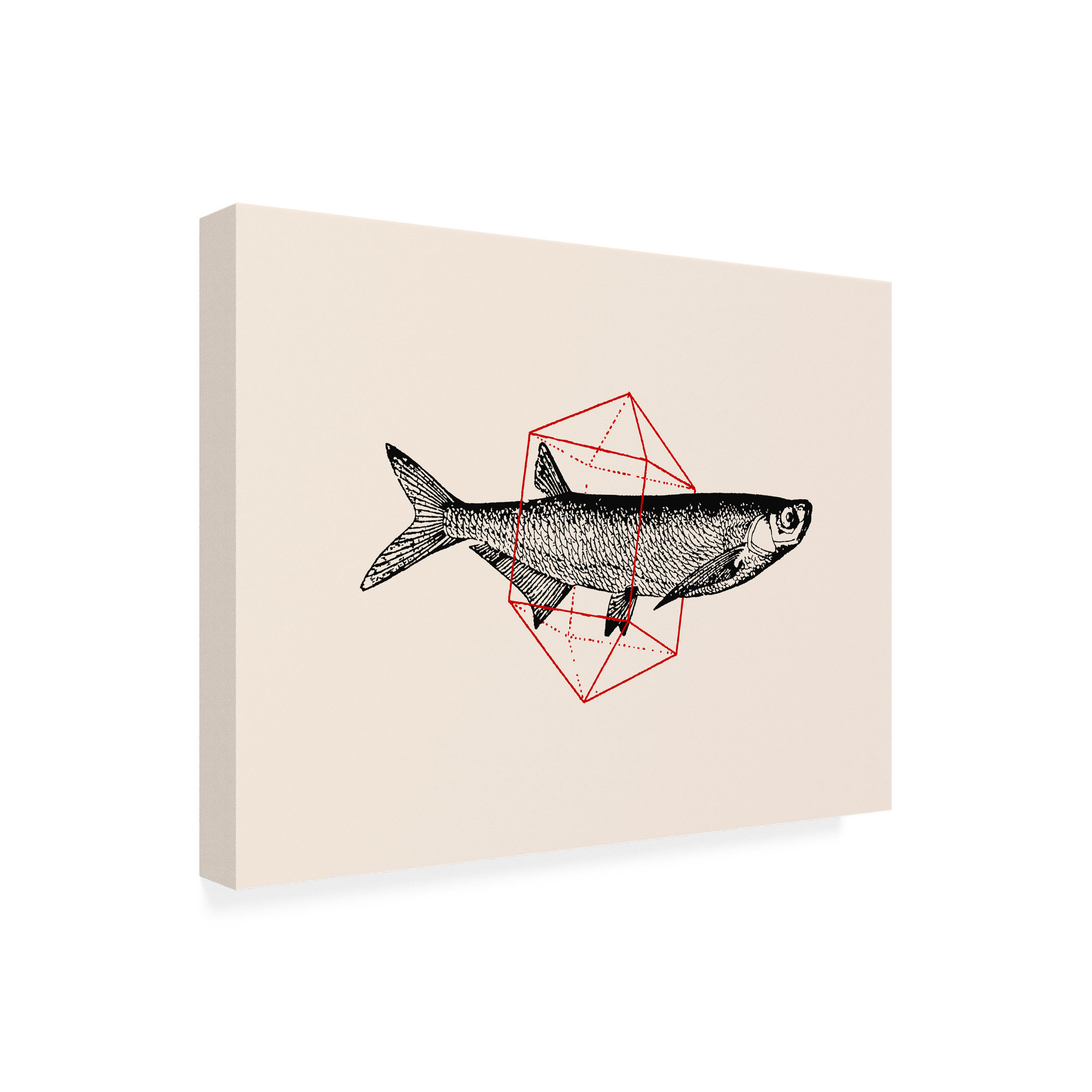 Highland Dunes " Fish In Geometrics Nao2 " by Florent Bodart | Wayfair