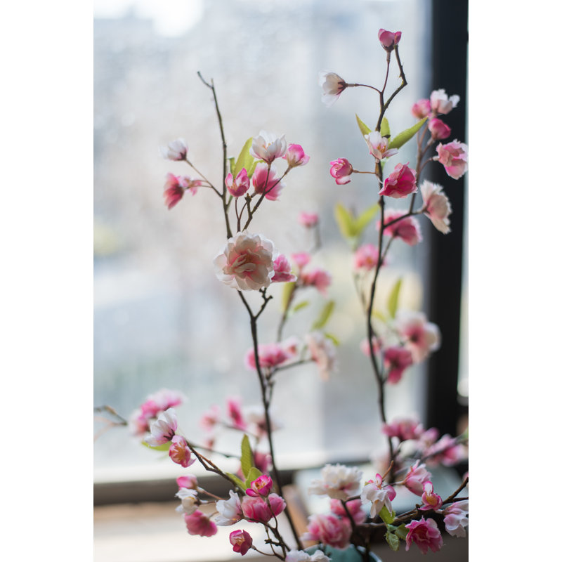 Rustic Reach Artificial Sakura Blossom Stem & Reviews | Wayfair