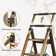 WFX Utility™ 5 - Step Aluminum Folding Small Step Ladder | Wayfair