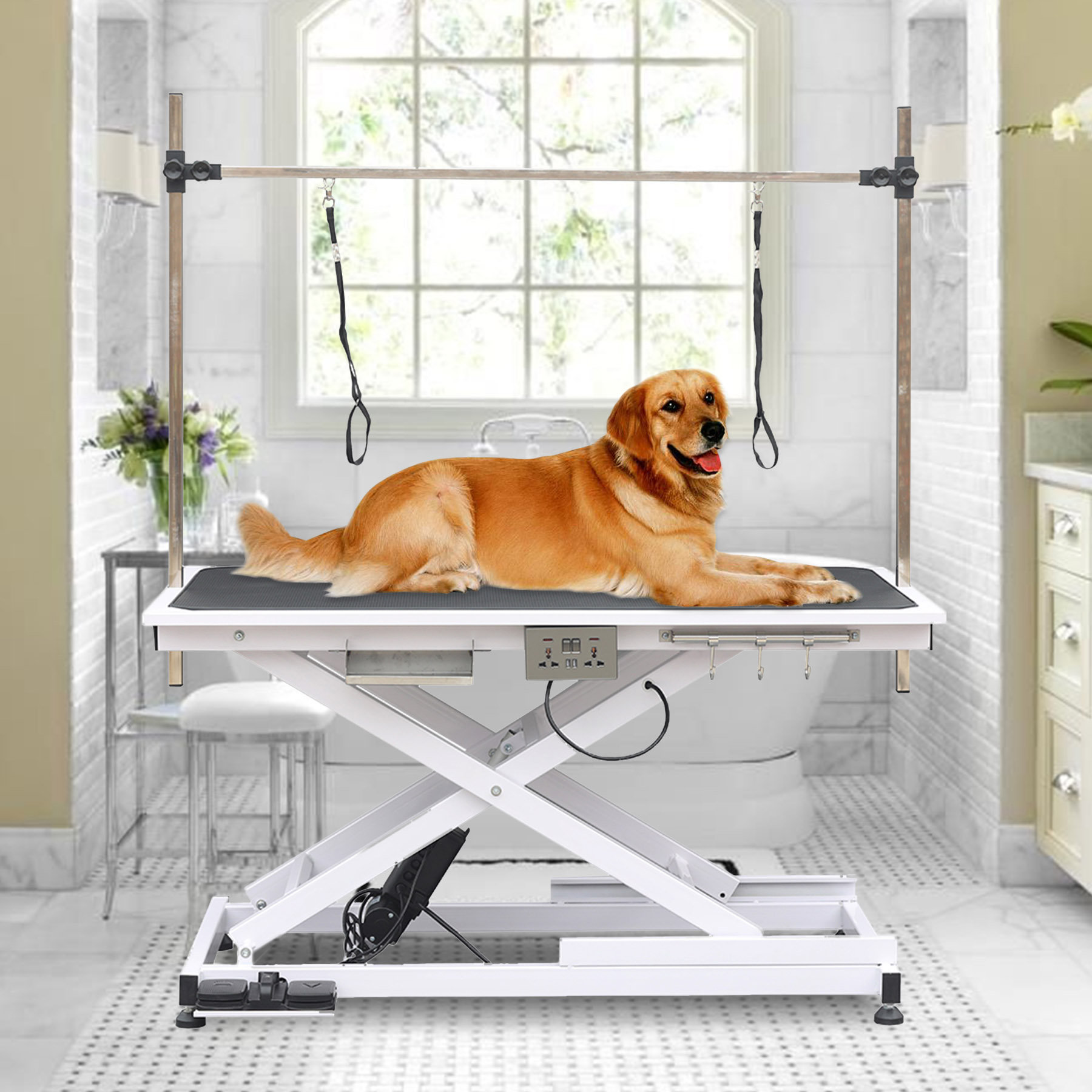 BESTCOSTY 49.6'' W x 26'' D Electric Grooming Table | Wayfair