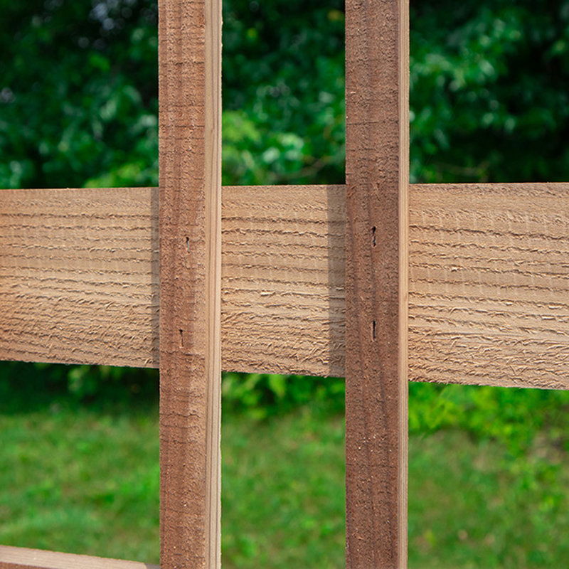 Red Barrel Studio® Addalee Premium Cedar Griffin Trellis | Wayfair