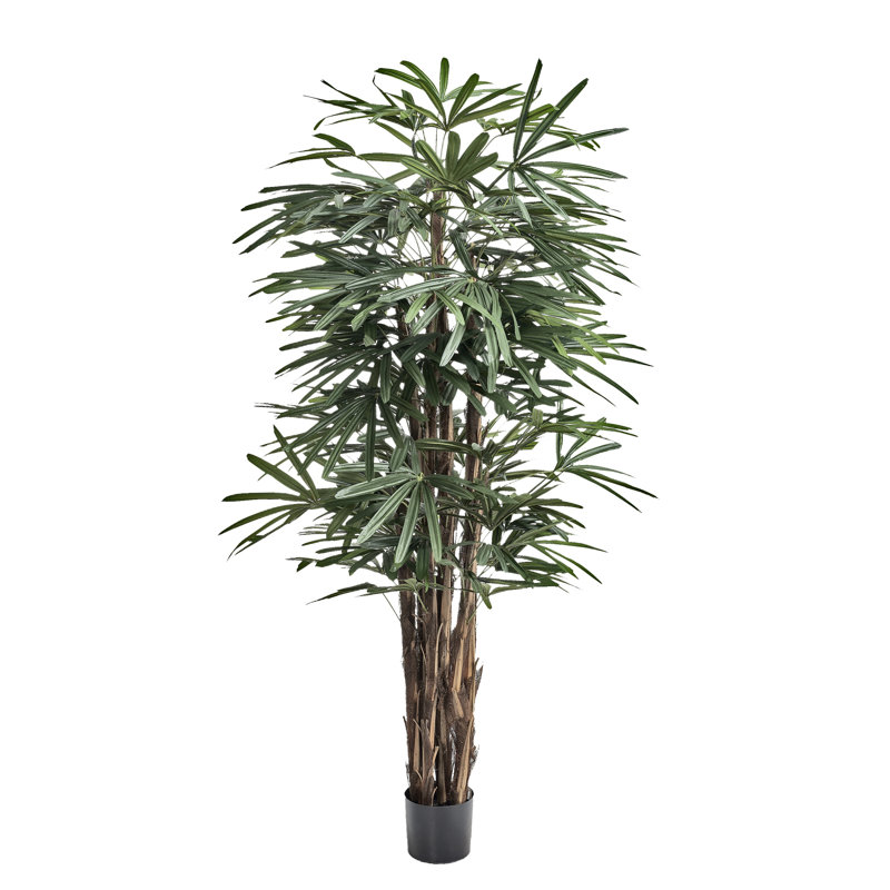 D & W Silks 7' Lady Palm in Black Nursery Pot | Perigold