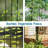 Tucker Murphy Pet™ Metal Garden Fence 2/3/4/5/6 Ft High Chicken Wire ...