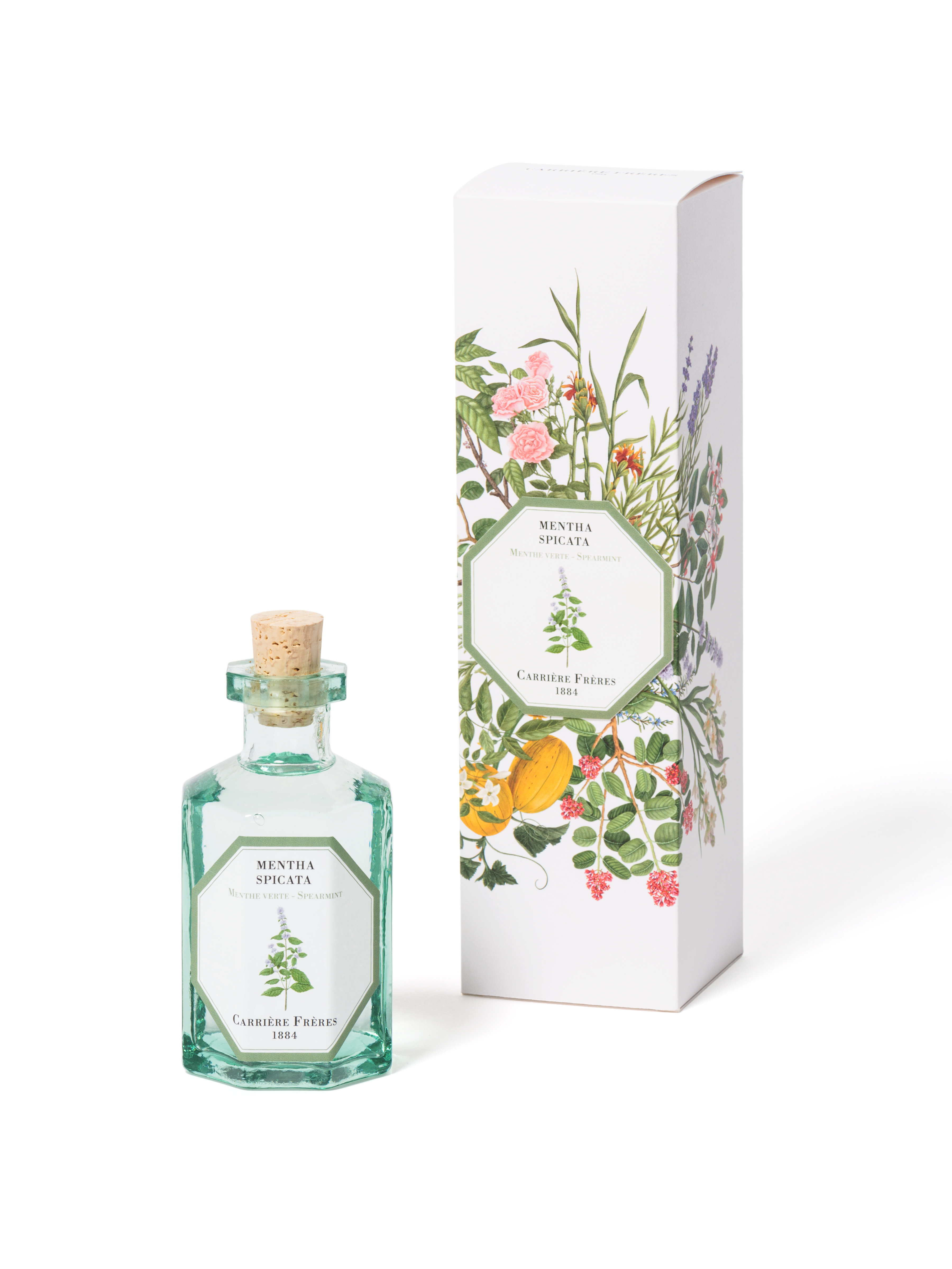 Carriere Freres Herbs and Plants Diffuser | Perigold