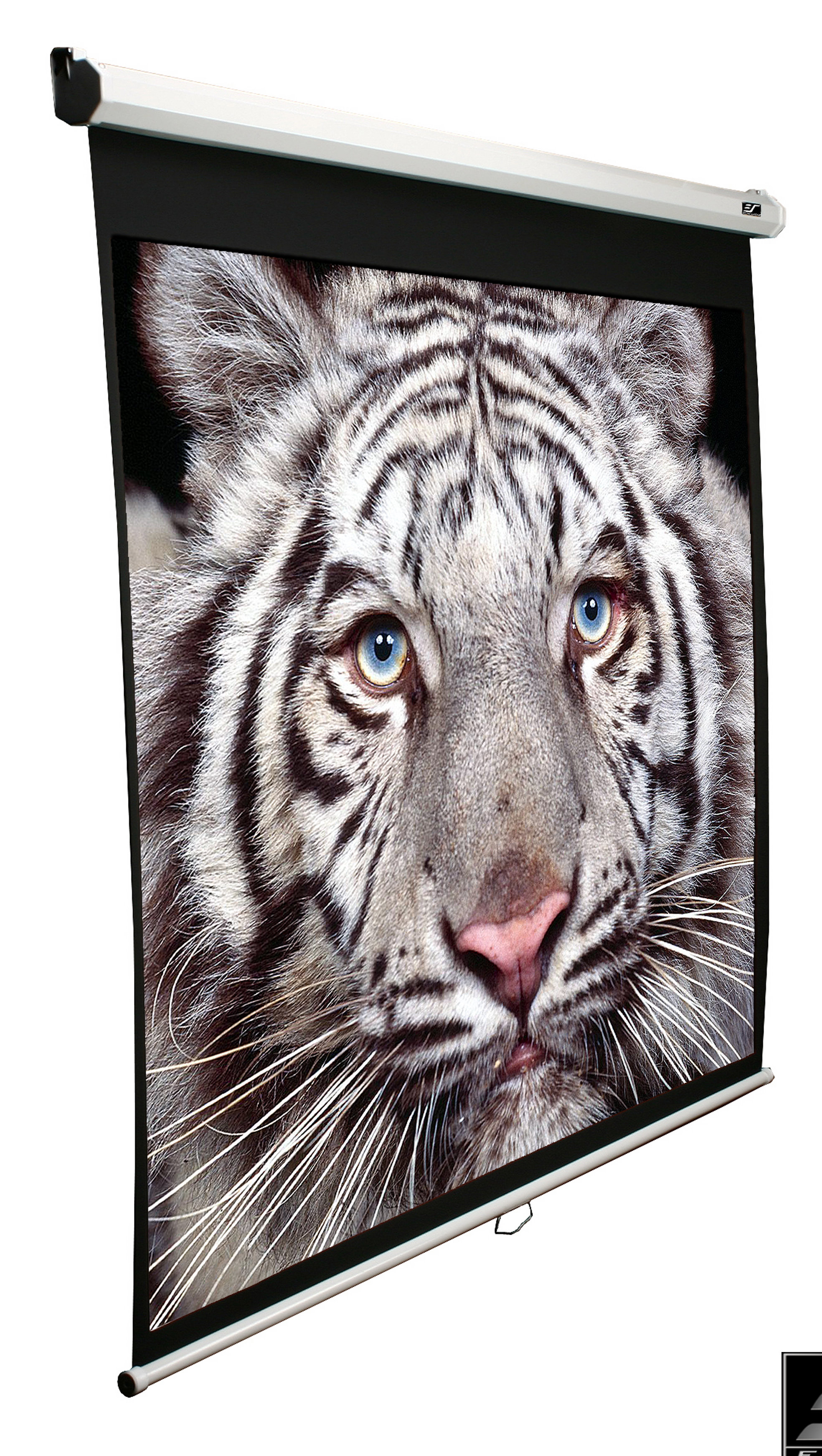 Elite Screens Manual Series Manual Wall/ Ceiling Projector Screen ...