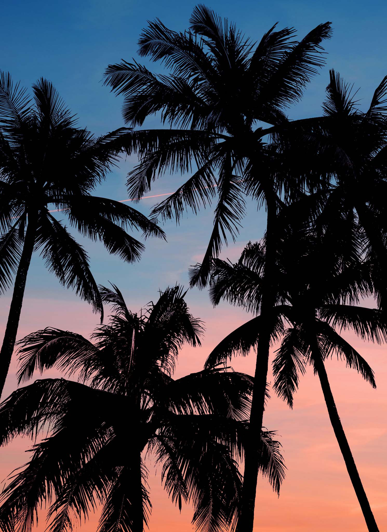 Yoffi Half Light 2 On Canvas by Yaffa G Print - Wayfair Canada