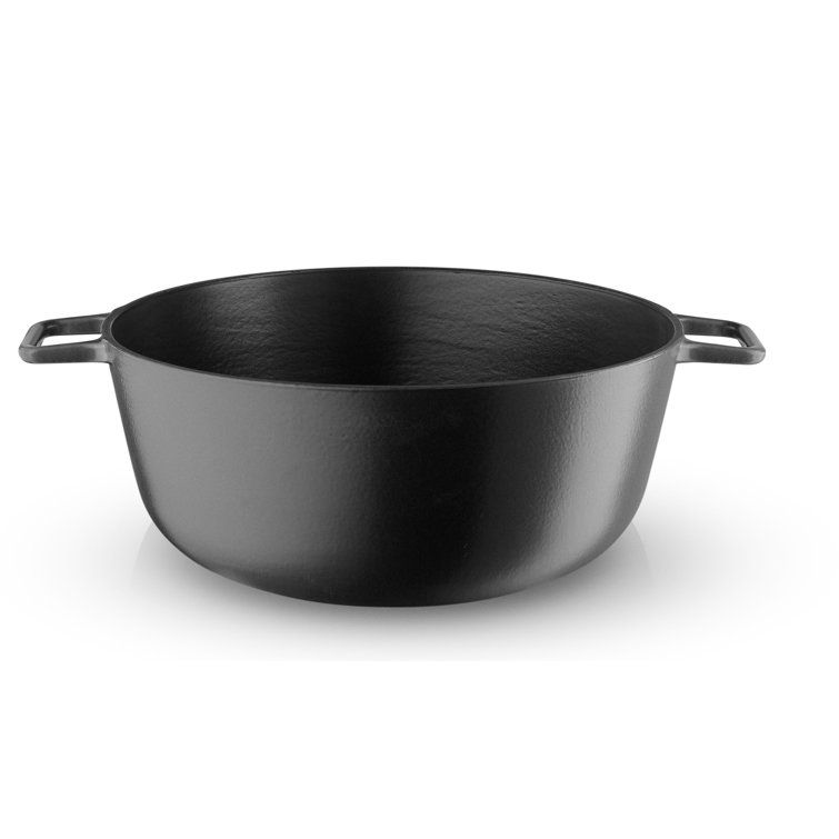 Enameled Cast Iron Stock Pot | AllModern