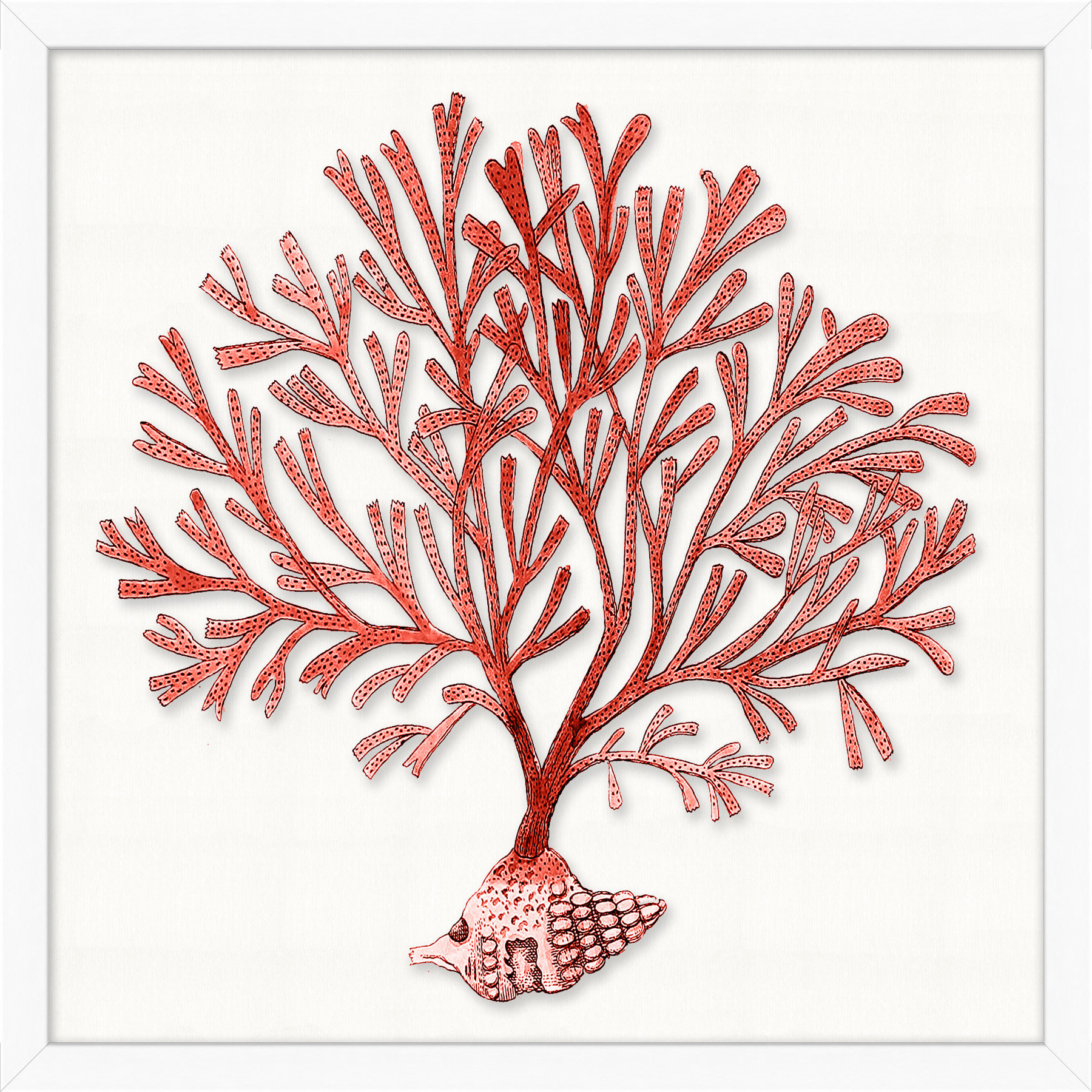 Wendover Art Group Red Branch Coral 8 By Lillian August - Picture Frame ...