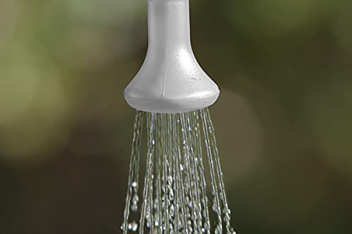 Beniar Summer Solar Shower - 3 Gallon | Wayfair