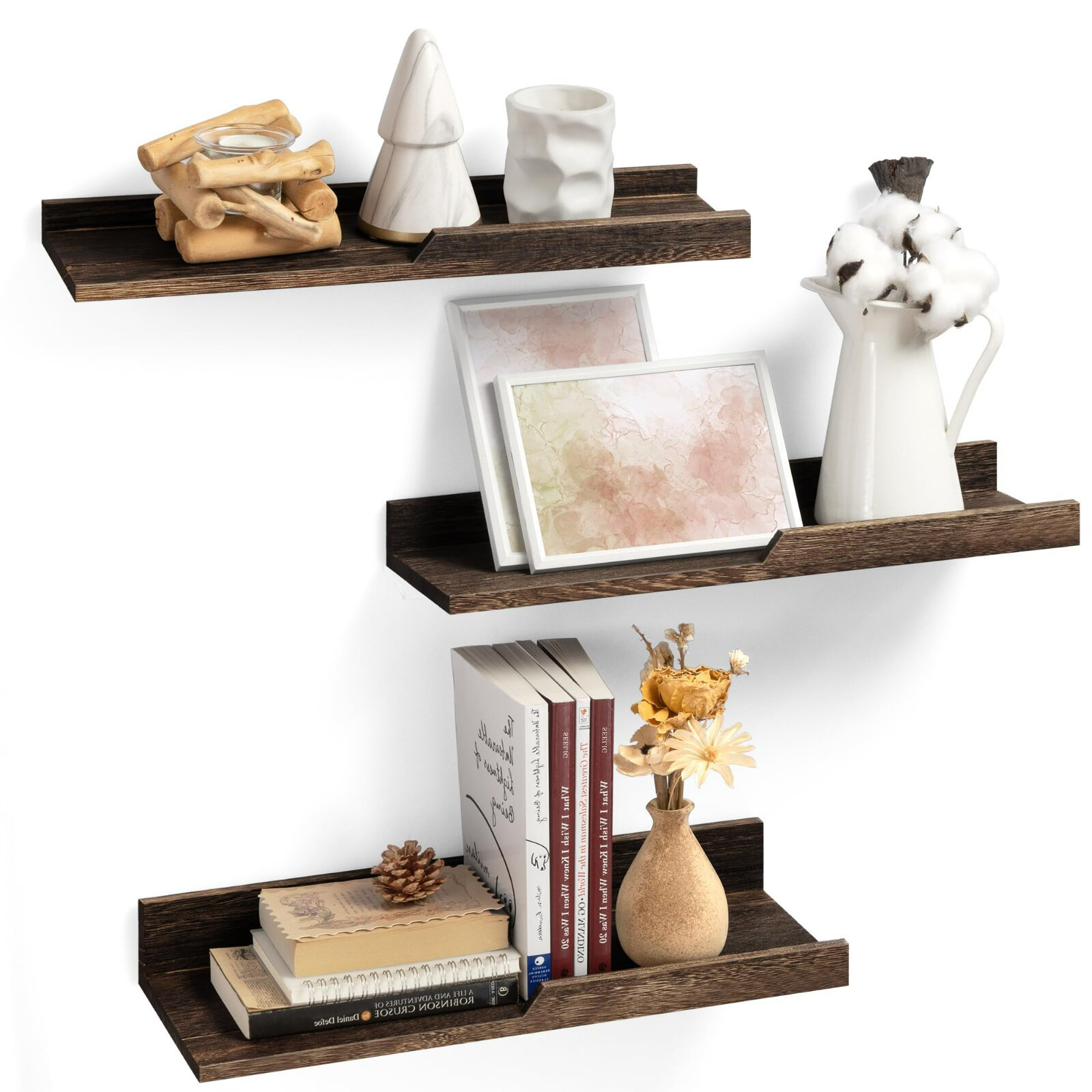 Millwood Pines Delissia 3 Piece Paulownia Floating Shelf | Wayfair