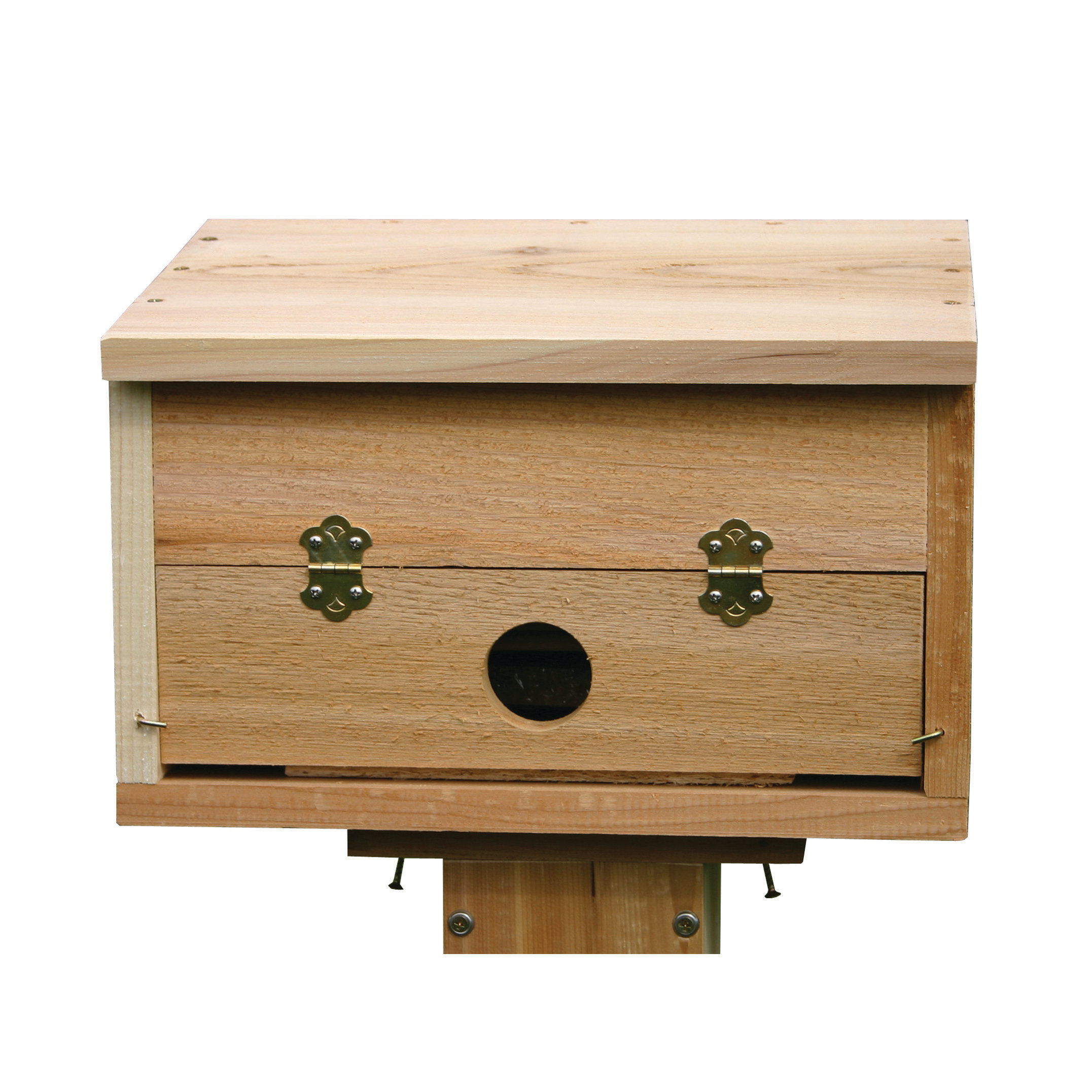 Red Barrel Studio® Roosting Box 11 in x 16 in x 11 in Birdhouse ...