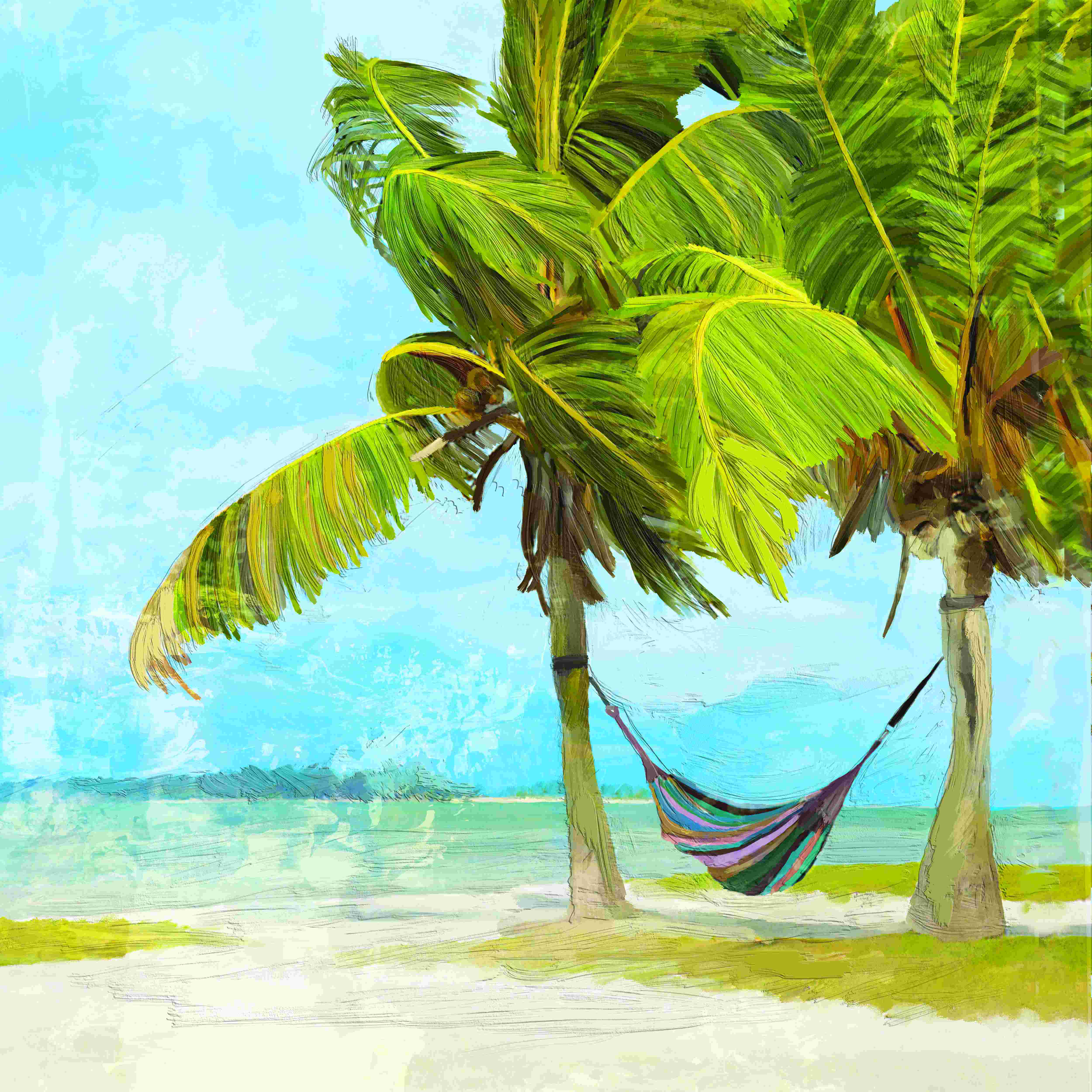 Bay Isle Home™ Hammock Trees | Wayfair