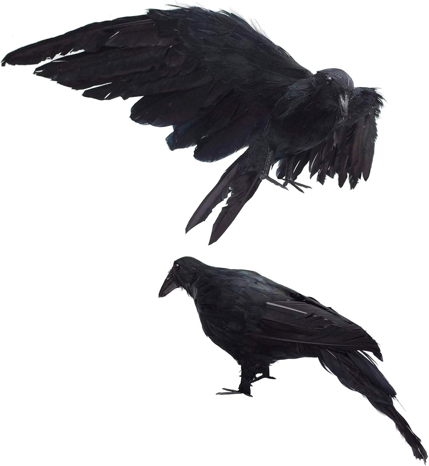 Ophelia & Co. 2 Pack Realistic Lifesize Extra Large Handmade Crows ...