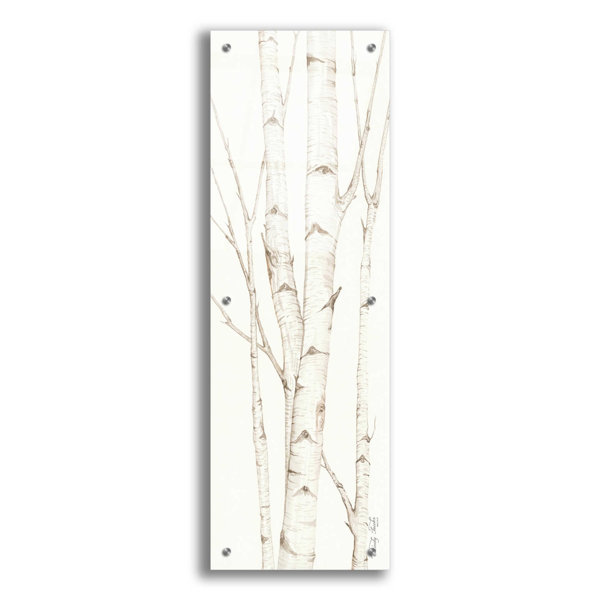 Millwood Pines " Birch Trees II " by Cindy Jacobs on Plastic / Acrylic ...