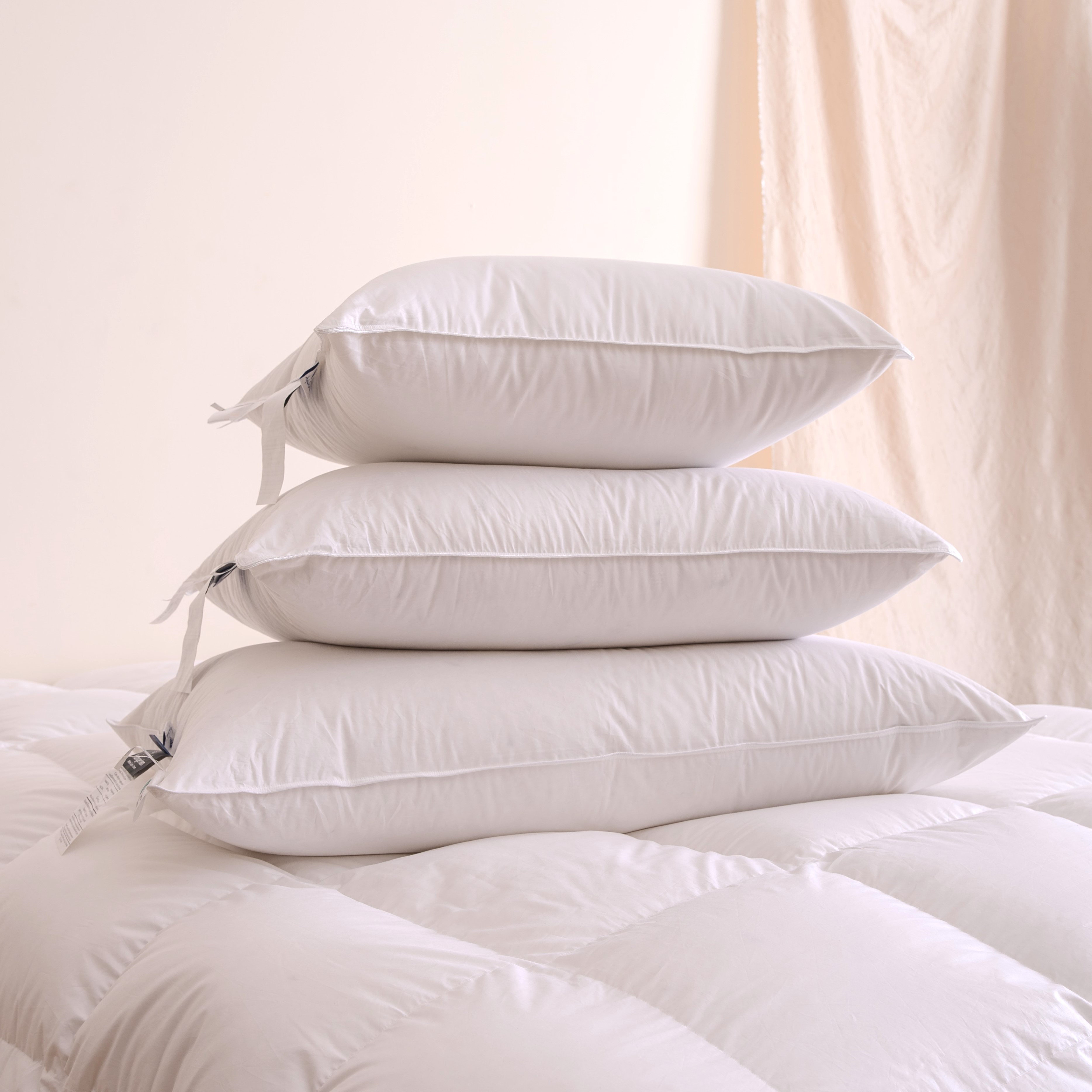 Highland Feather 600 Loft White Goose Down Pillow 289 TC Cotton Casing ...
