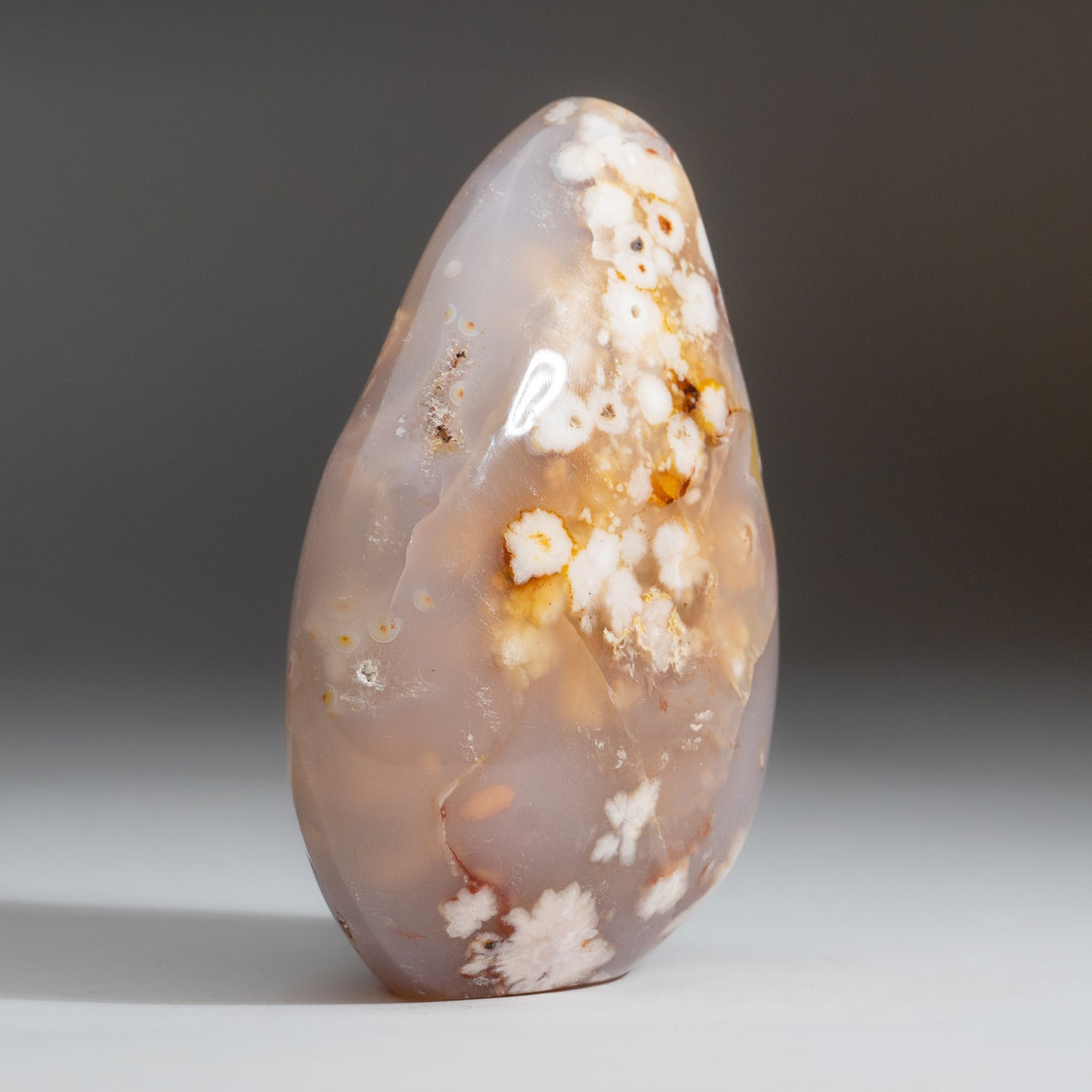 Astro Gallery of Gems Genuine Polished Flower Agate Freeform From ...