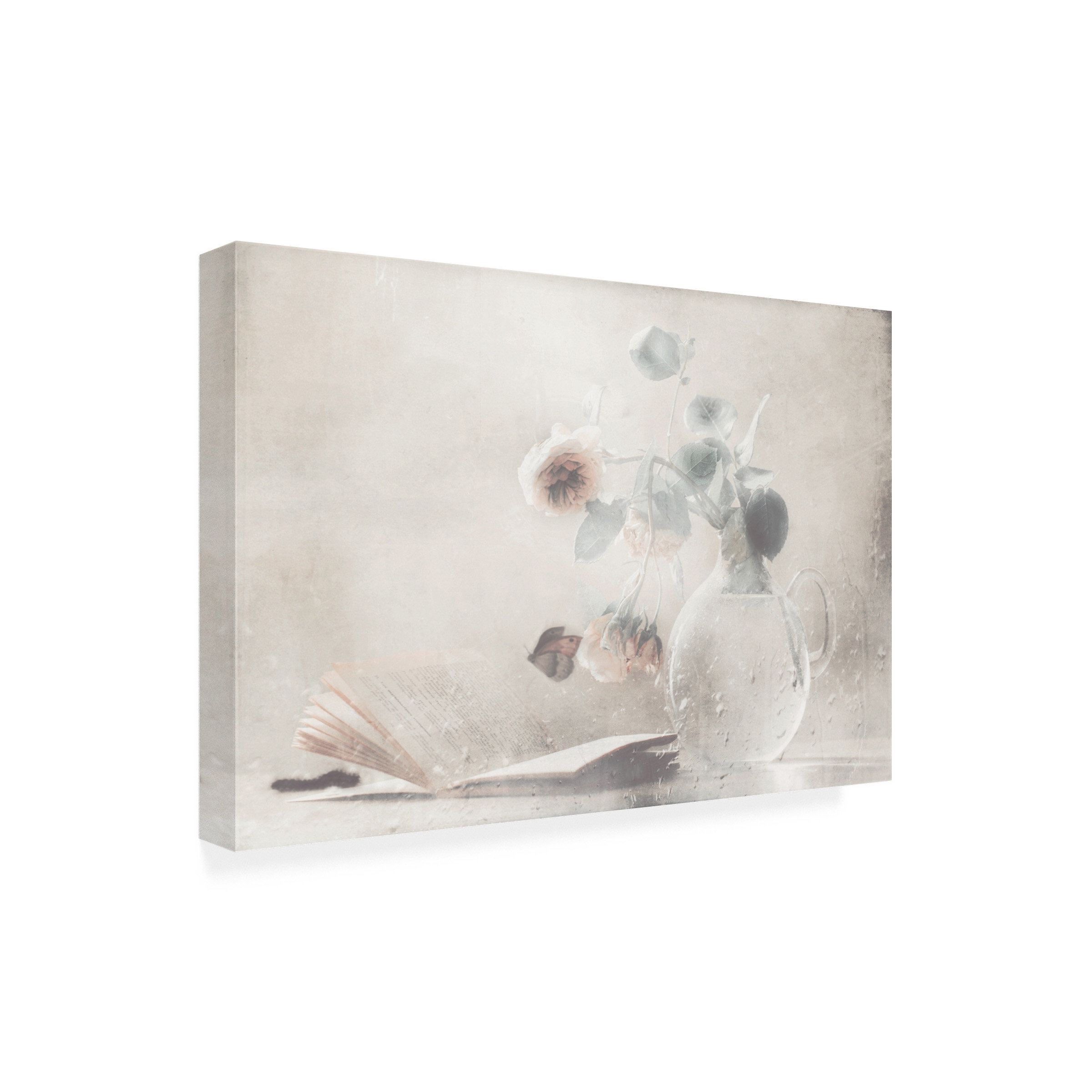 Trademark Fine Art Delphine Devos Cycle Of Life Canvas Art | Wayfair