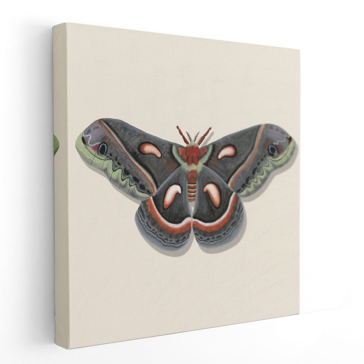 Dakota Fields Watercolor Moths III - Canvas Print Wall Art | Wayfair