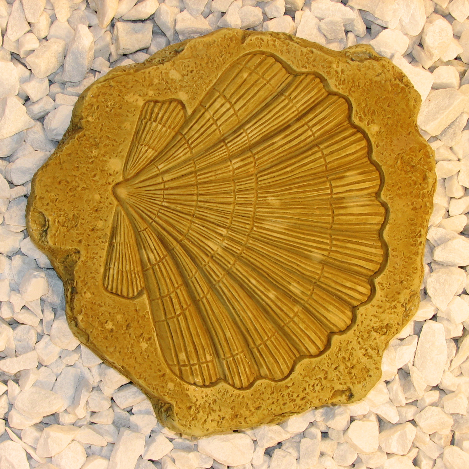 Nichols Bros. Stoneworks Shell Stepping Stone & Reviews | Wayfair