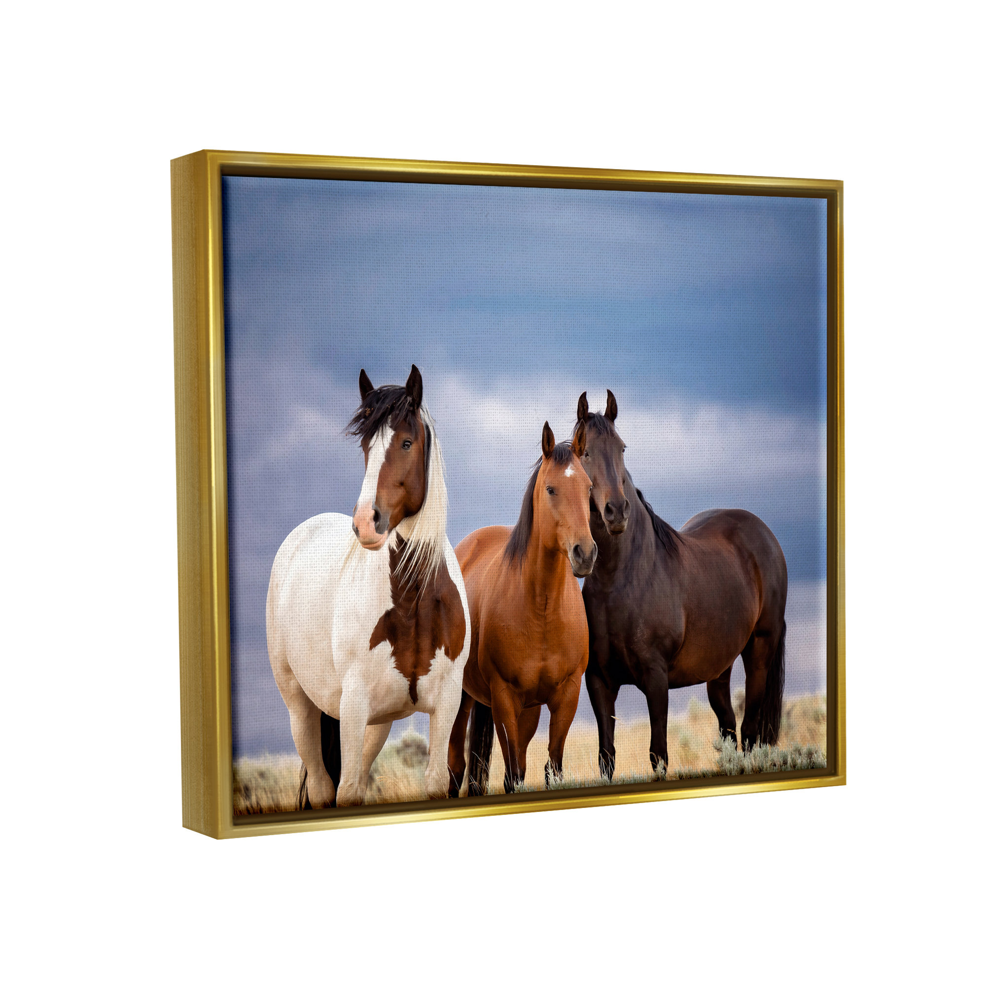 Stupell Industries Ba-334-Floater Horse Trio Under Clouds Framed On ...