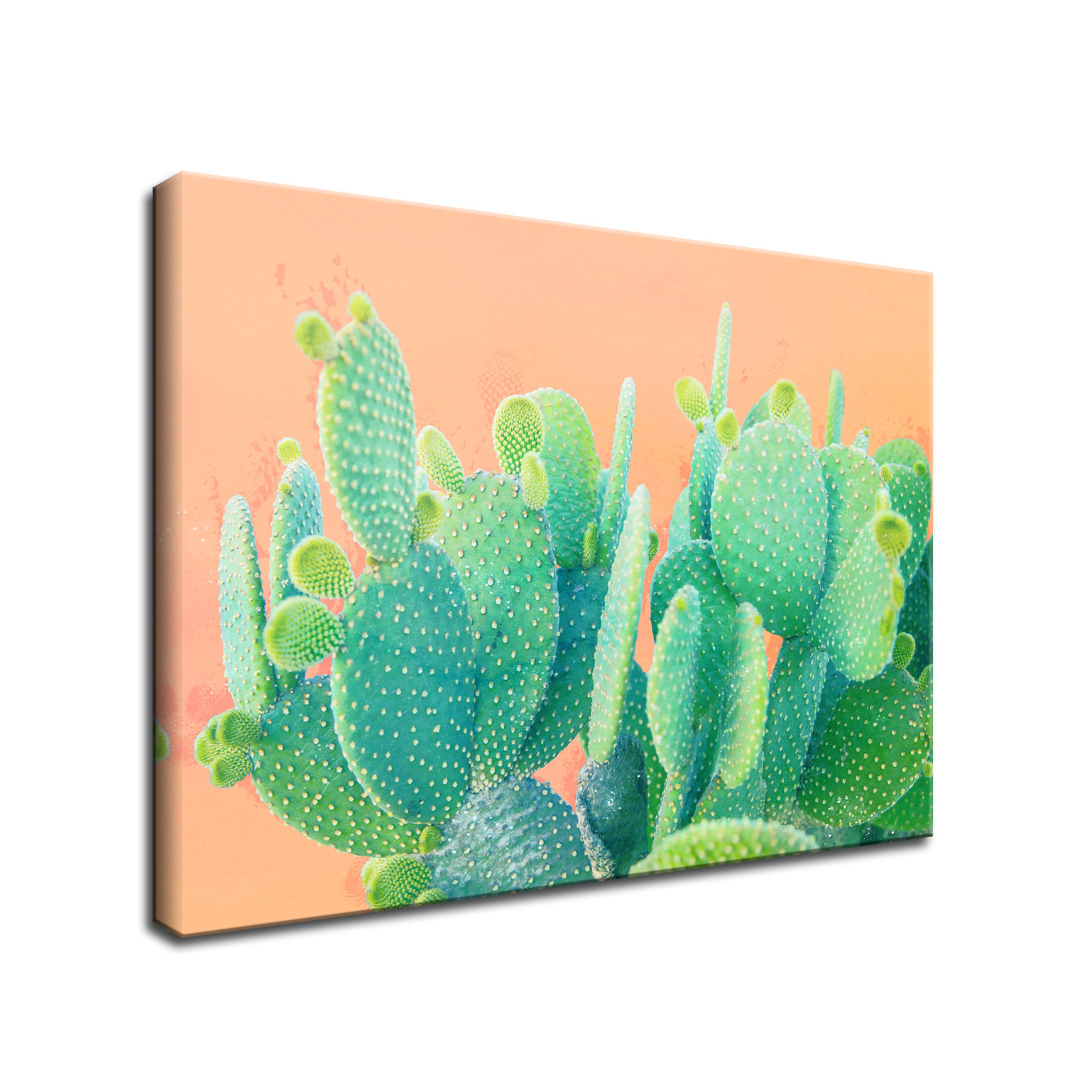 Union Rustic 'Cacti Dream' - Print on Canvas - Wayfair Canada