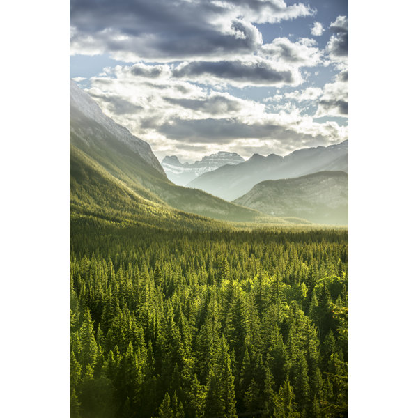Alpen Home Rocky Mountain Forest View by Pgiam - Wrapped Canvas Art ...