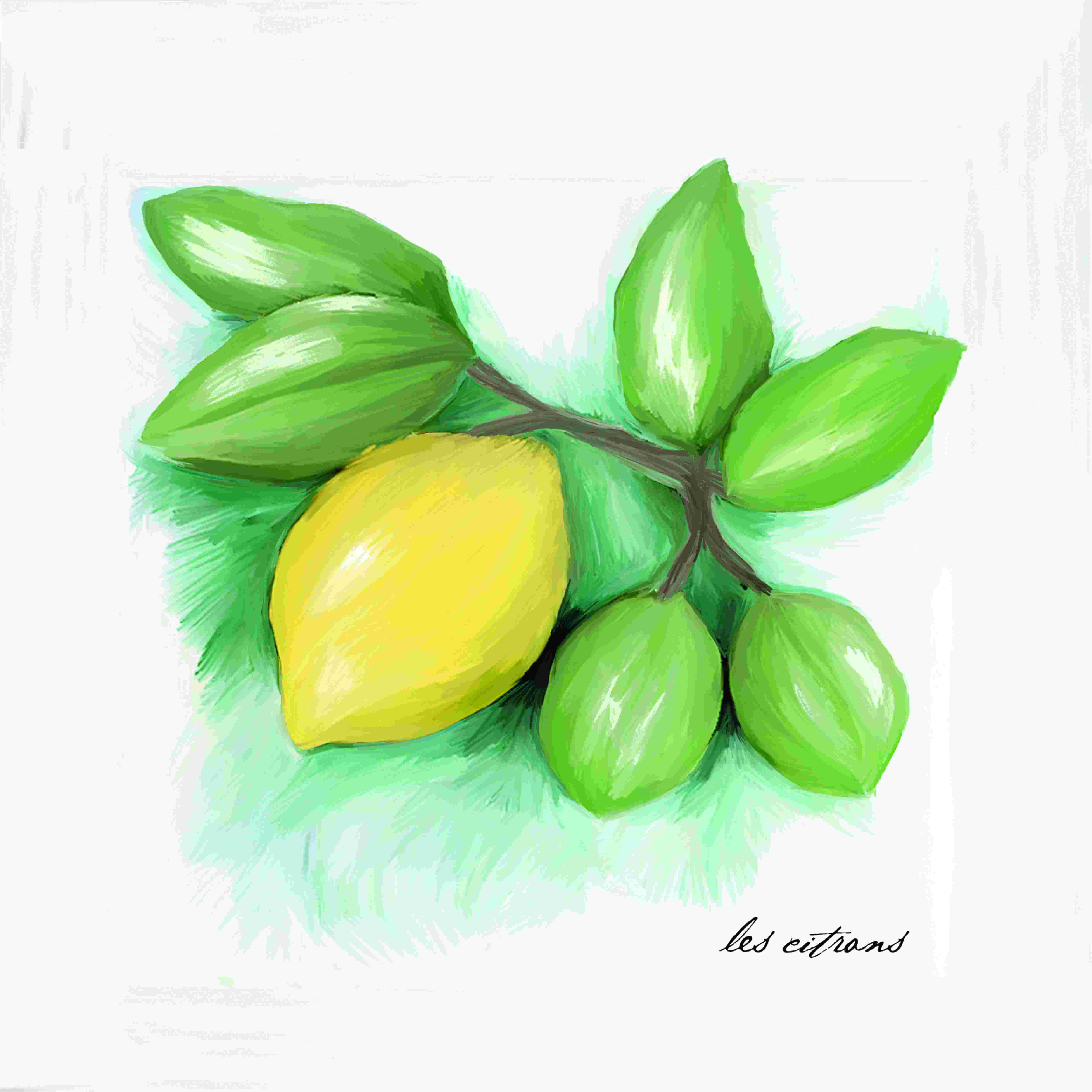 Gracie Oaks Lemons Paint - Wayfair Canada