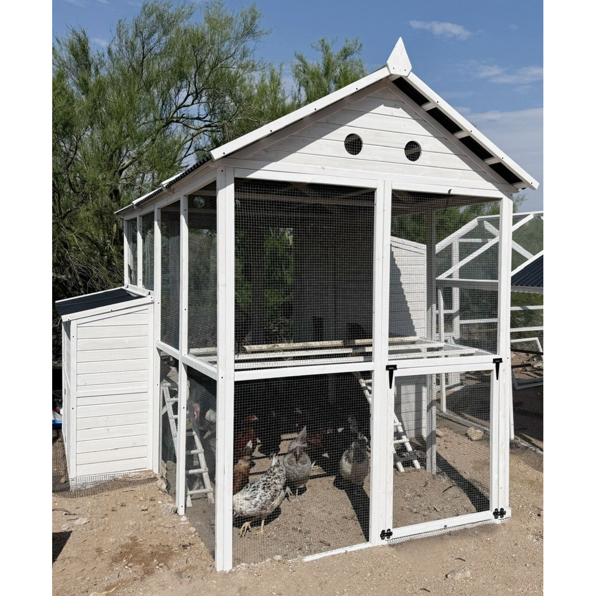 Zylina Modern Countryside Chicken Coop | Wayfair