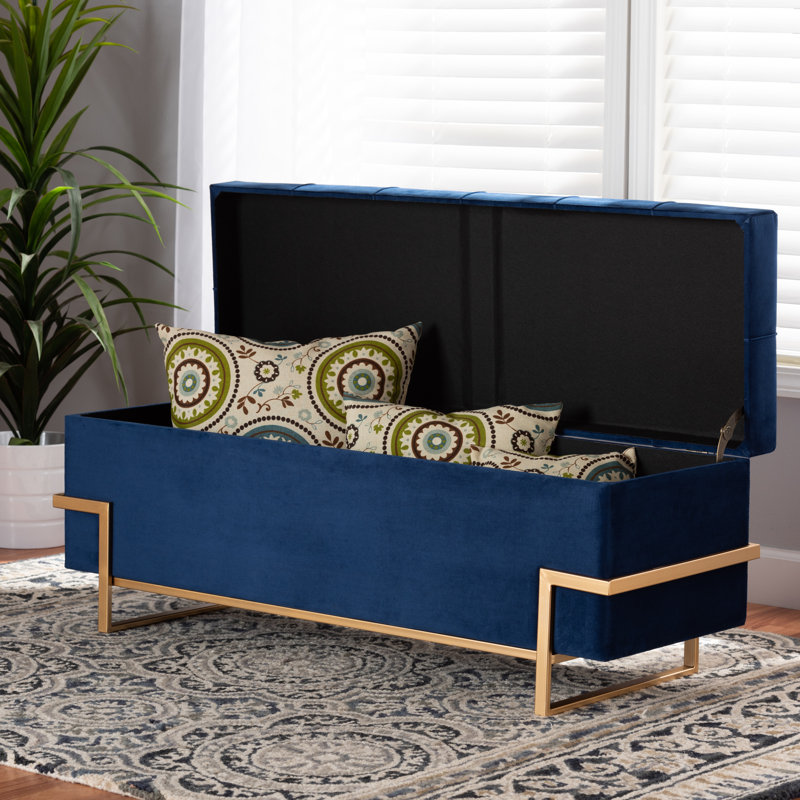 Mercer41 Ivaniel 48" Velvet Tufted Rectangle Storage Ottoman & Reviews ...