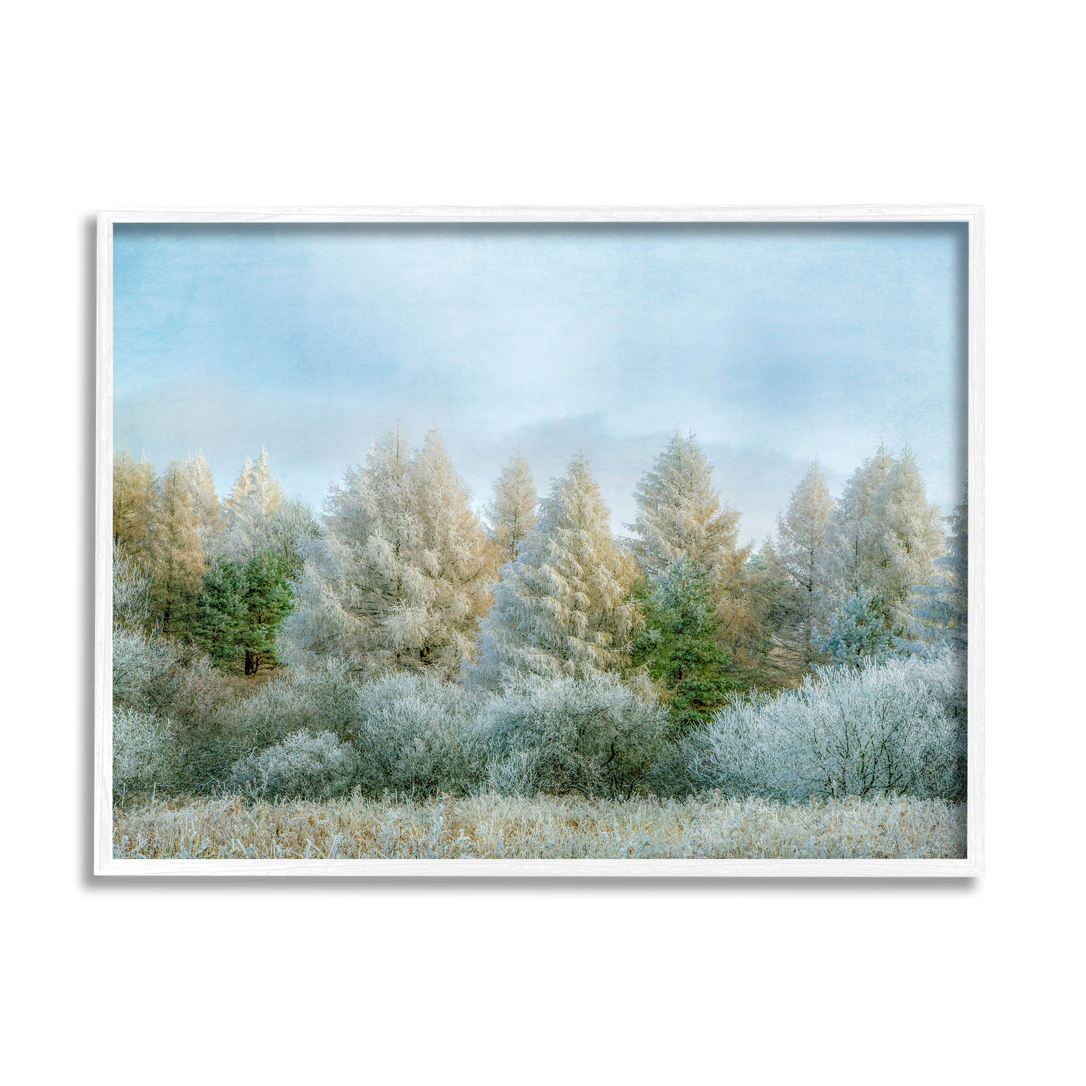 Stupell Industries Woodland Grove Forest Trees Giclee Art By Brooke T ...