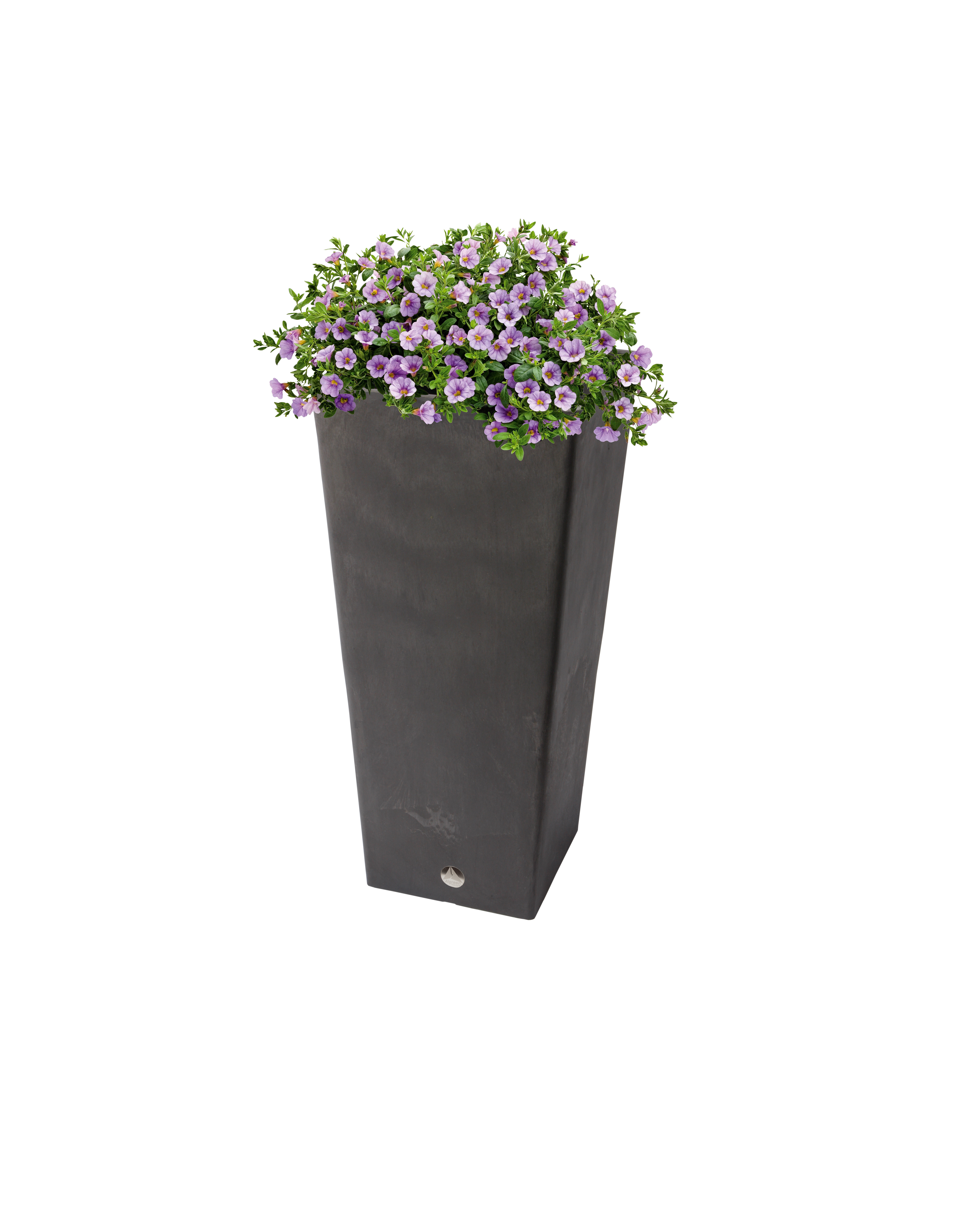 Charlton Home Cara 28" Square Composite Pot Planter with Plant Shelf ...