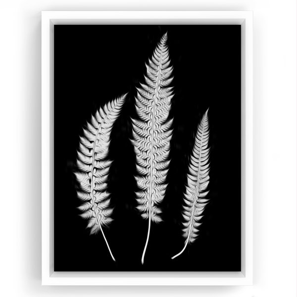 Gracie Oaks Swirl Ferns I By Chaos & Wonder Design Modern Wall Art ...