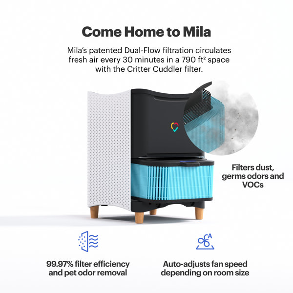 Mila Air Purifier with Overreactor Filter for Heavy Pollution & Reviews ...