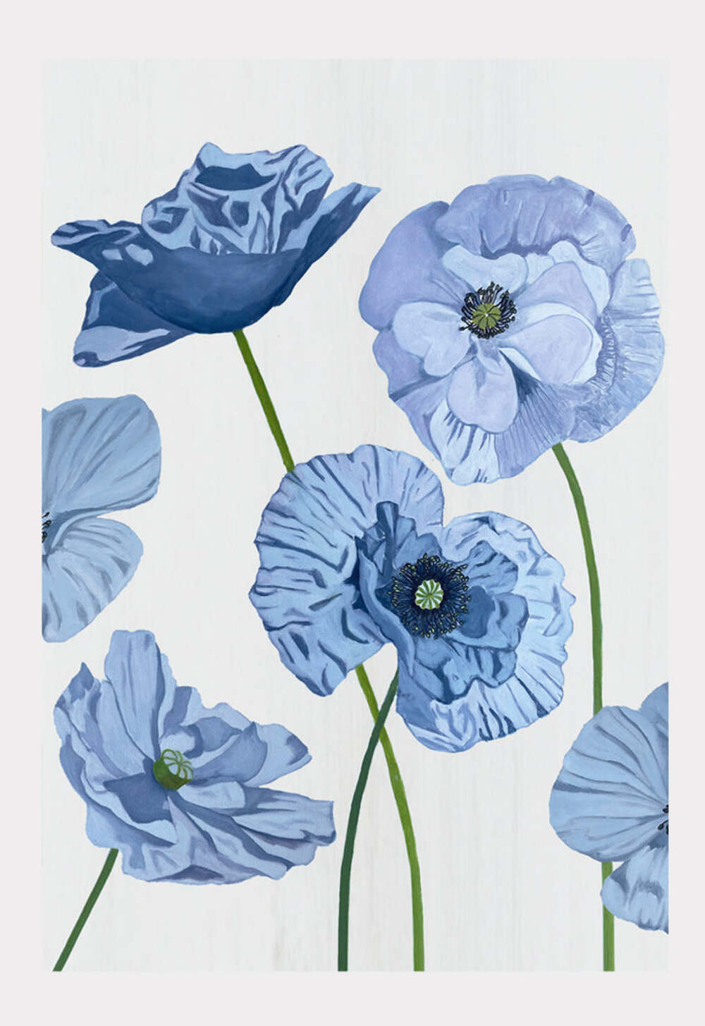India & Purry Blue Poppies on Pale Gray by Jessica Hollander - Unframed ...