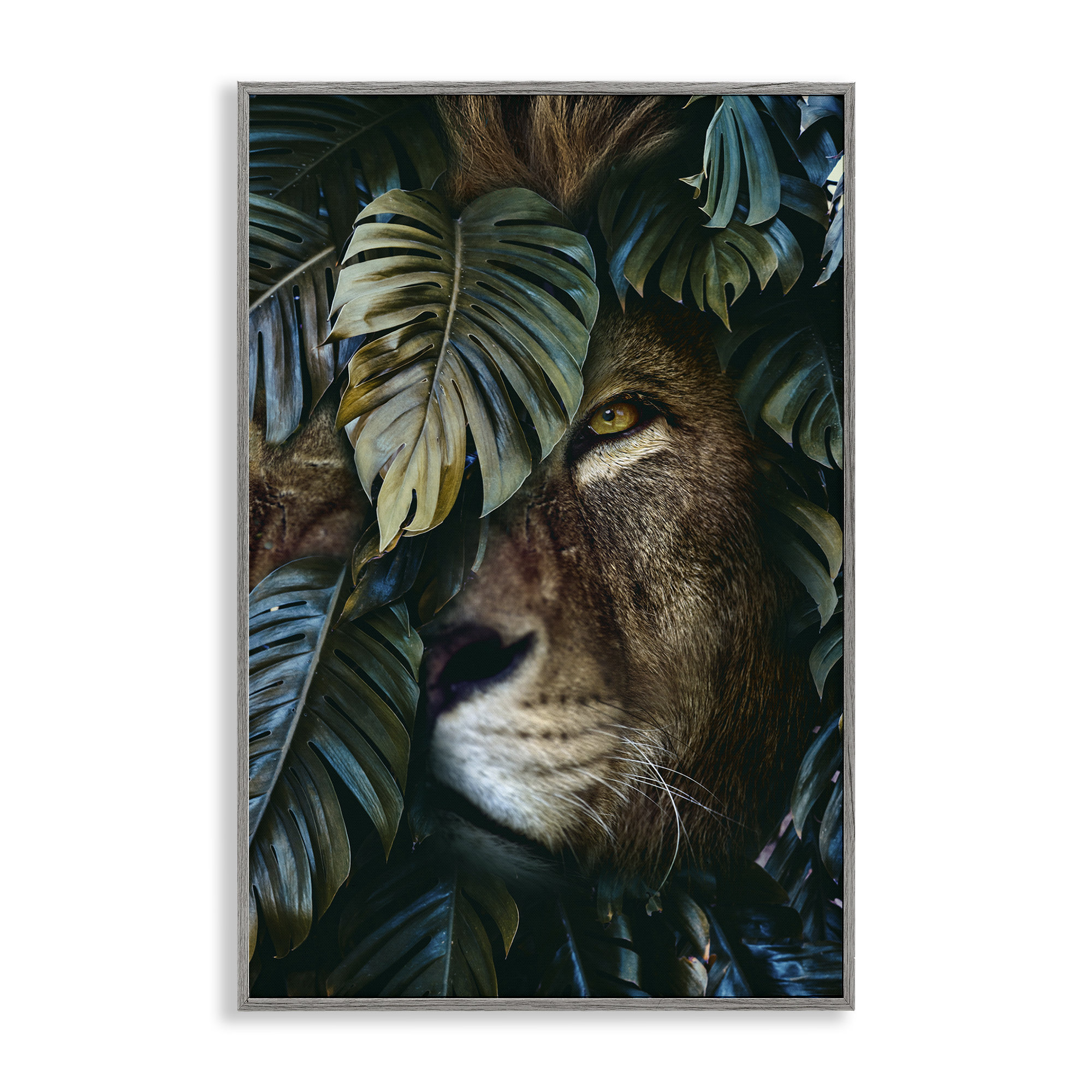 Ebern Designs Lion Peering Monstera Leaves Giclee Art by Reinders | Wayfair