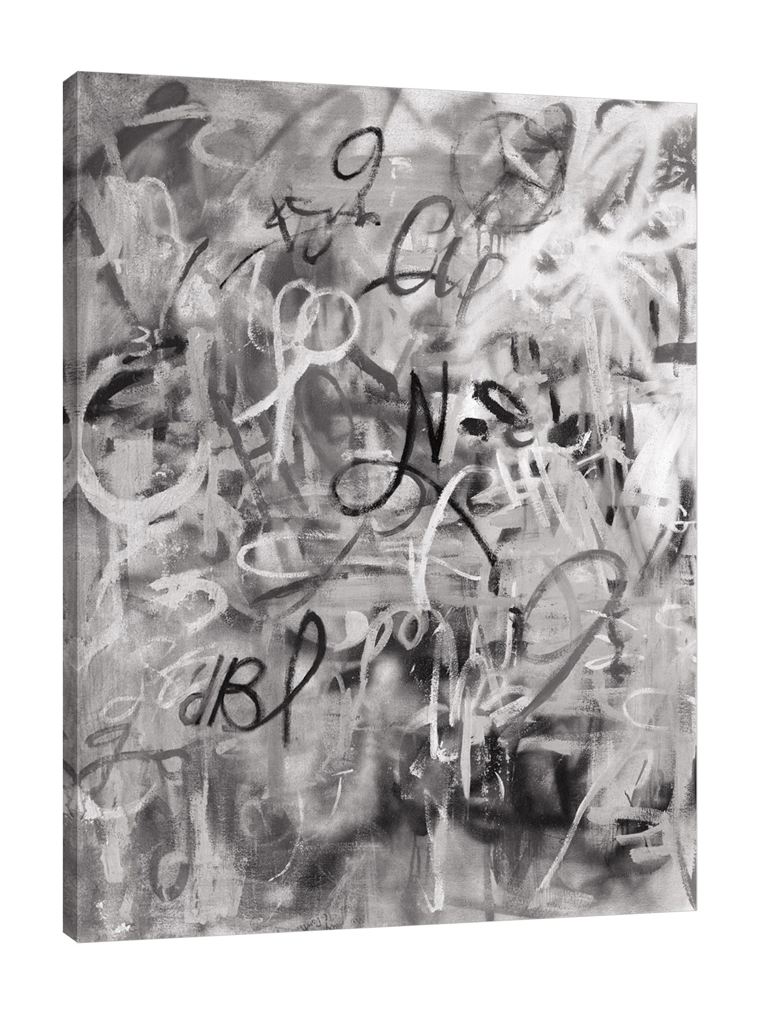 Orren Ellis "Graffiti Freedom Monochromatic" Gallery Wrapped Canvas By ...