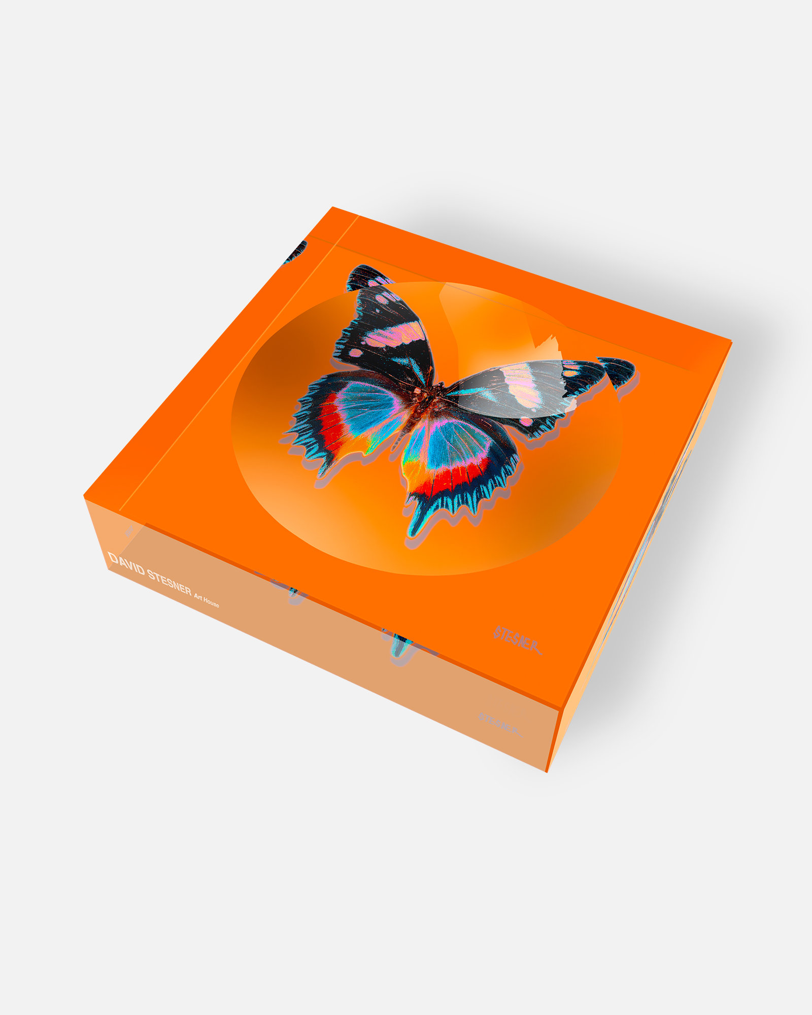 David Stesner ArtHouse Orange Spirit | Wayfair