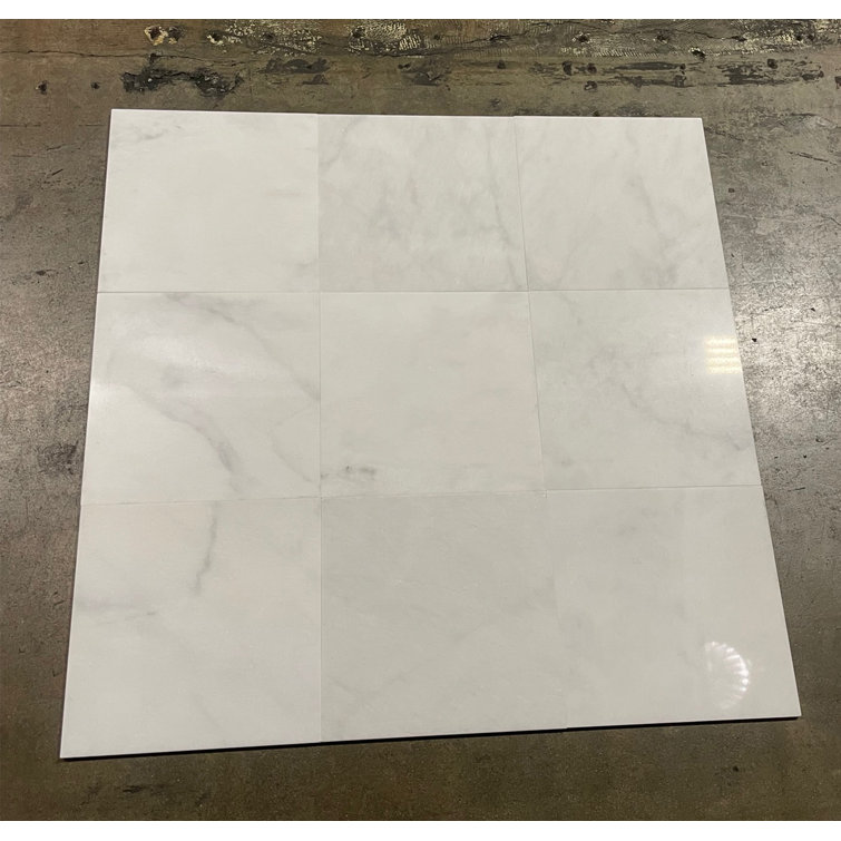 Stone & Tile Shoppe, Inc. 12" x 24" Marble Marble Look Wall & Floor ...