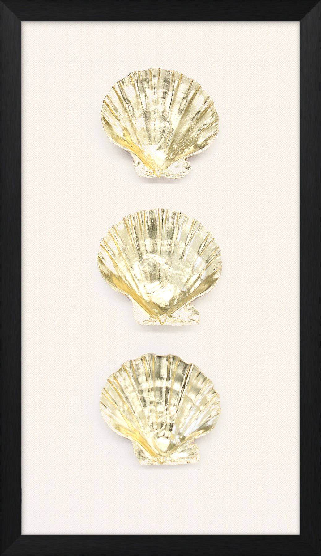Wendover Art Group Gold Leafed Trio Large Scalloped Shell - Shadowbox ...