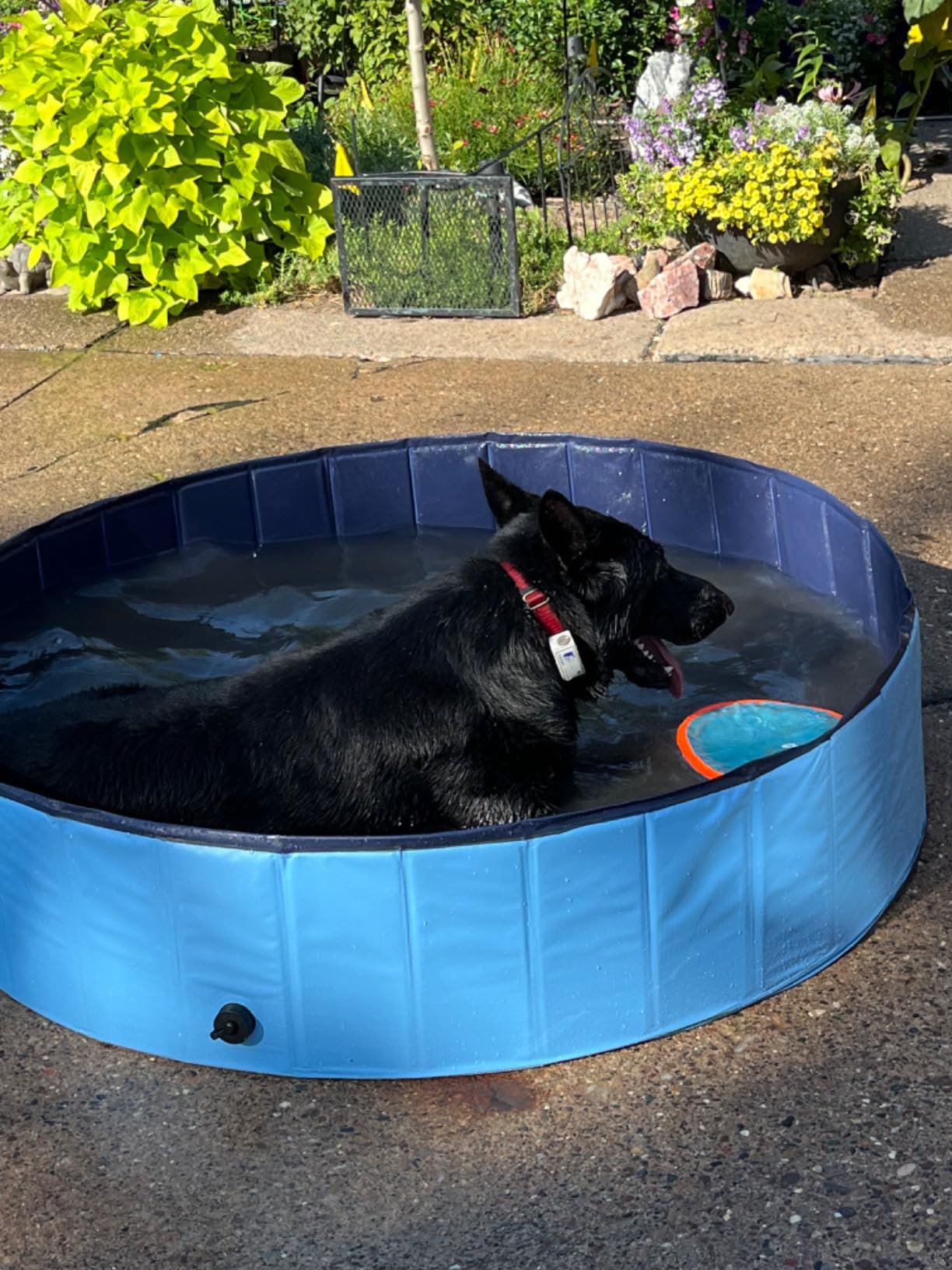 Umedas 79" Foldable Pool Collapsible Hard Plastic Swimming Pool ...