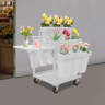 Arlmont & Co. Teman 4-Tier Rolling Flower Display Plant Rack Stand with ...