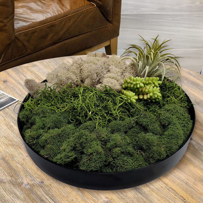 Syndicate Sales Tray & Reviews | Wayfair