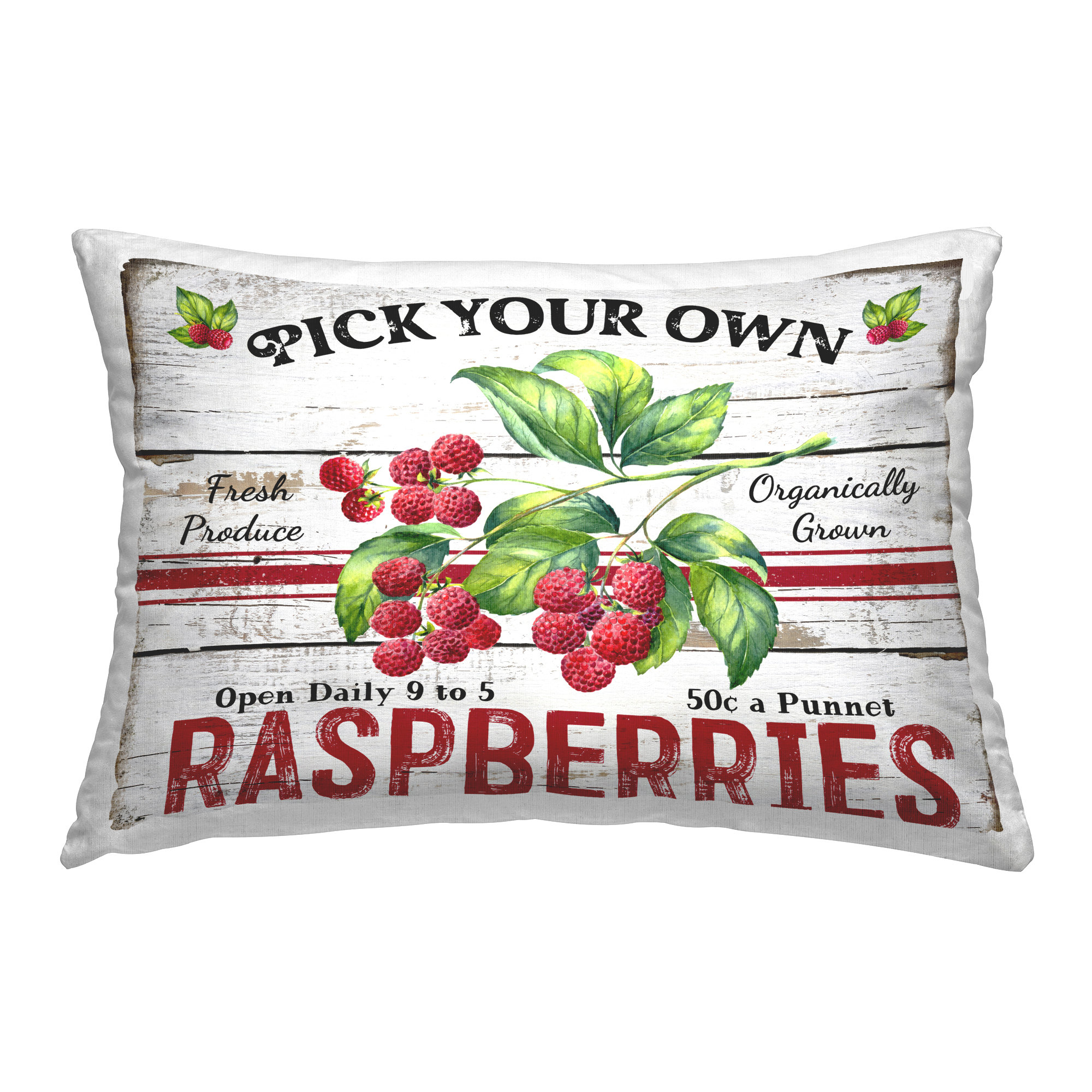 Stupell Industries Pick Your Own Raspberries Decorative Printed Throw ...