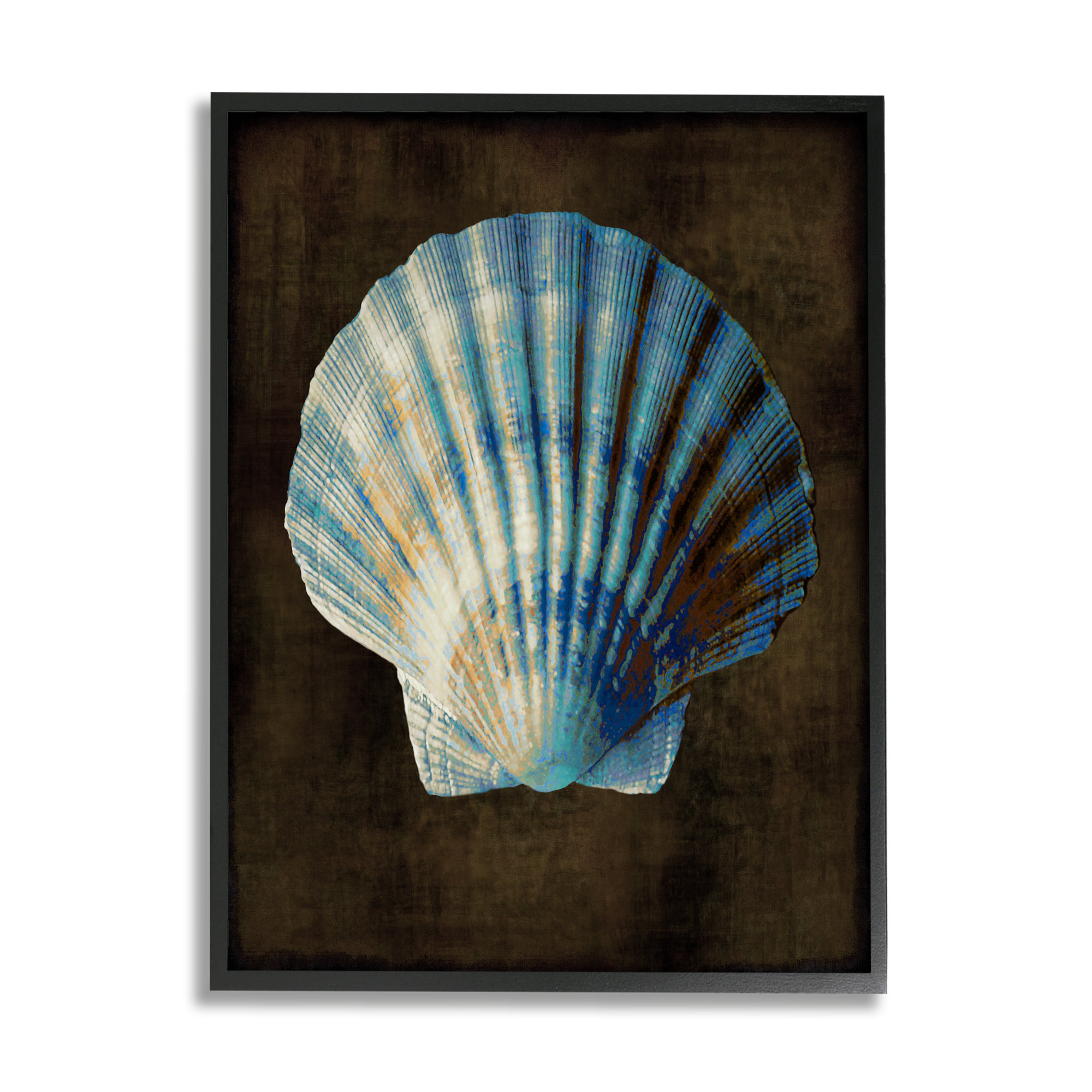 Highland Dunes Rustic Clam Shell Framed Giclee Art Design By Caroline ...